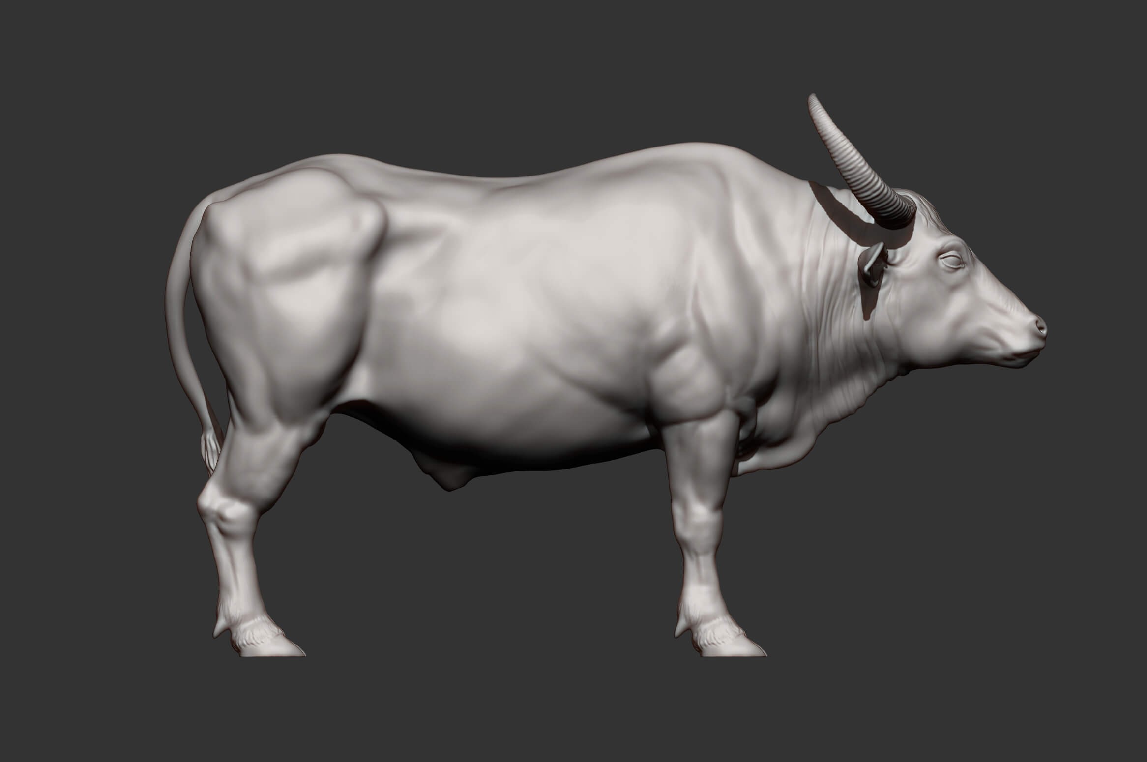 Asian Buffalo 3D Print Model by Alexander3dart
