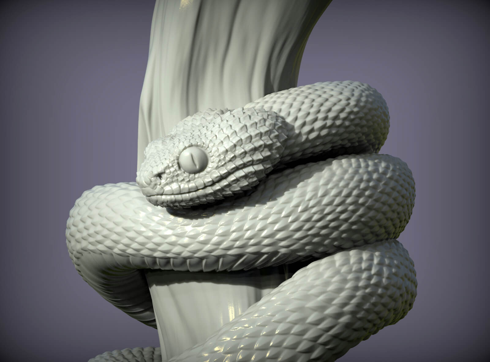 Atheris Squamigera 3D Print Model by Alexander3dart