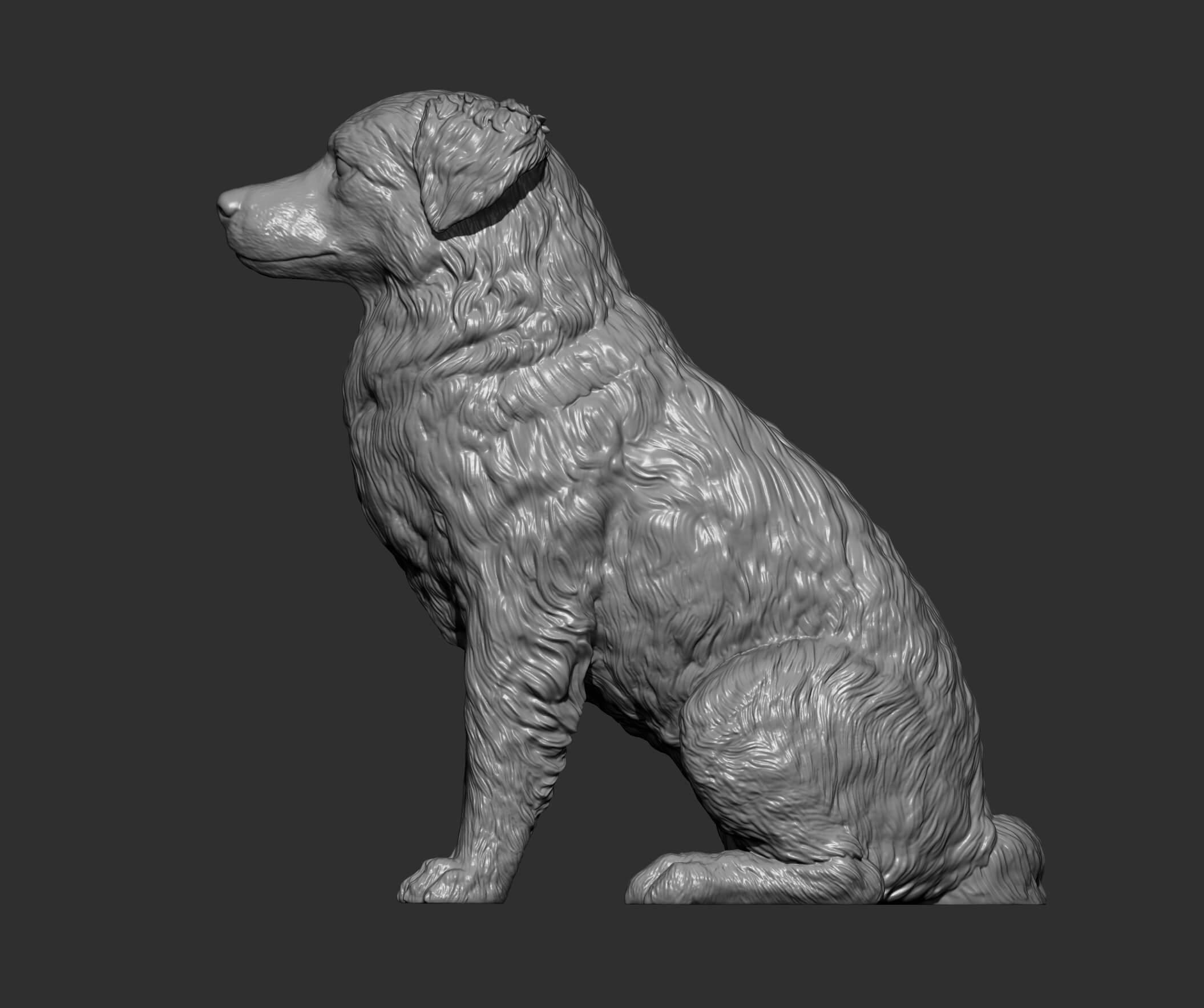 Australian Cattle Dog 3D Print Model by Alexander3dart