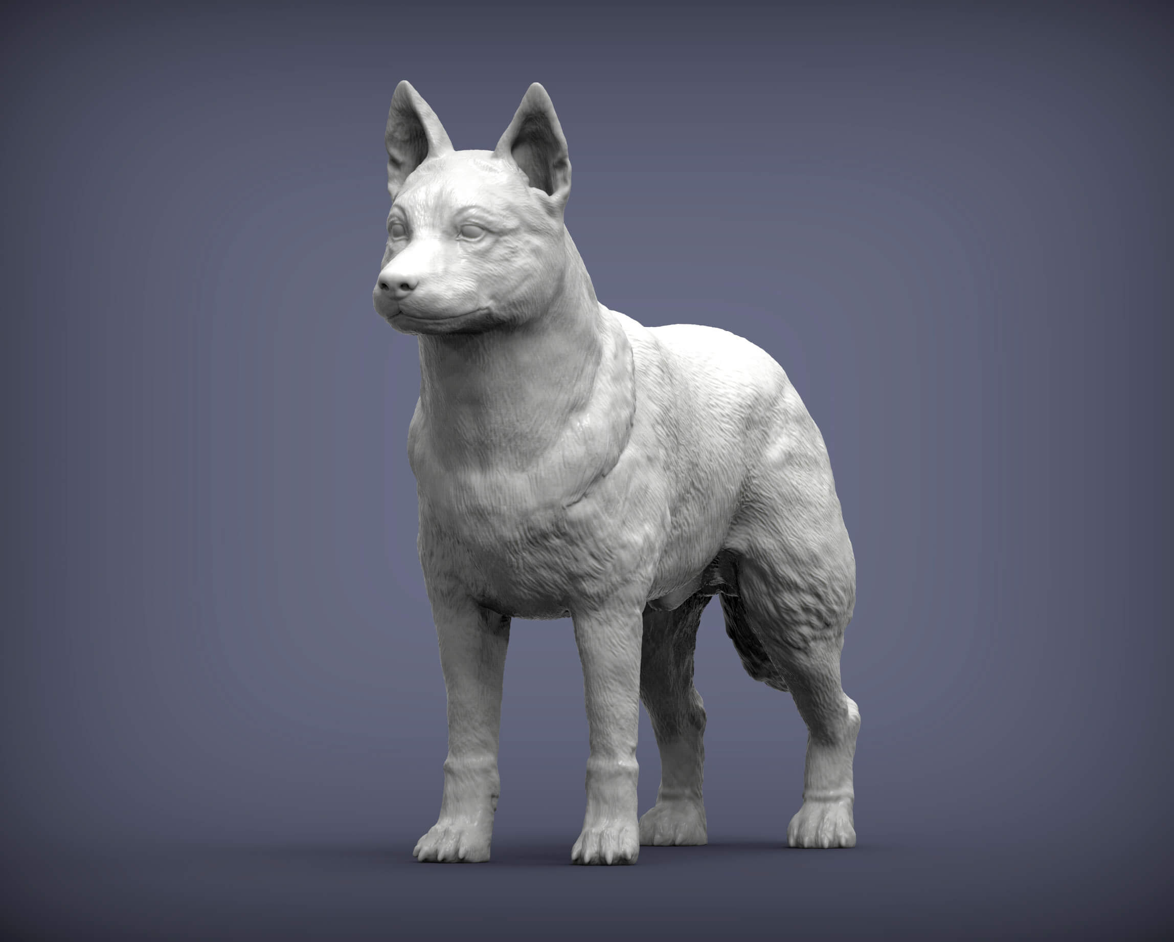 Australian Cattle Dog 3D Print Model by Alexander3dart