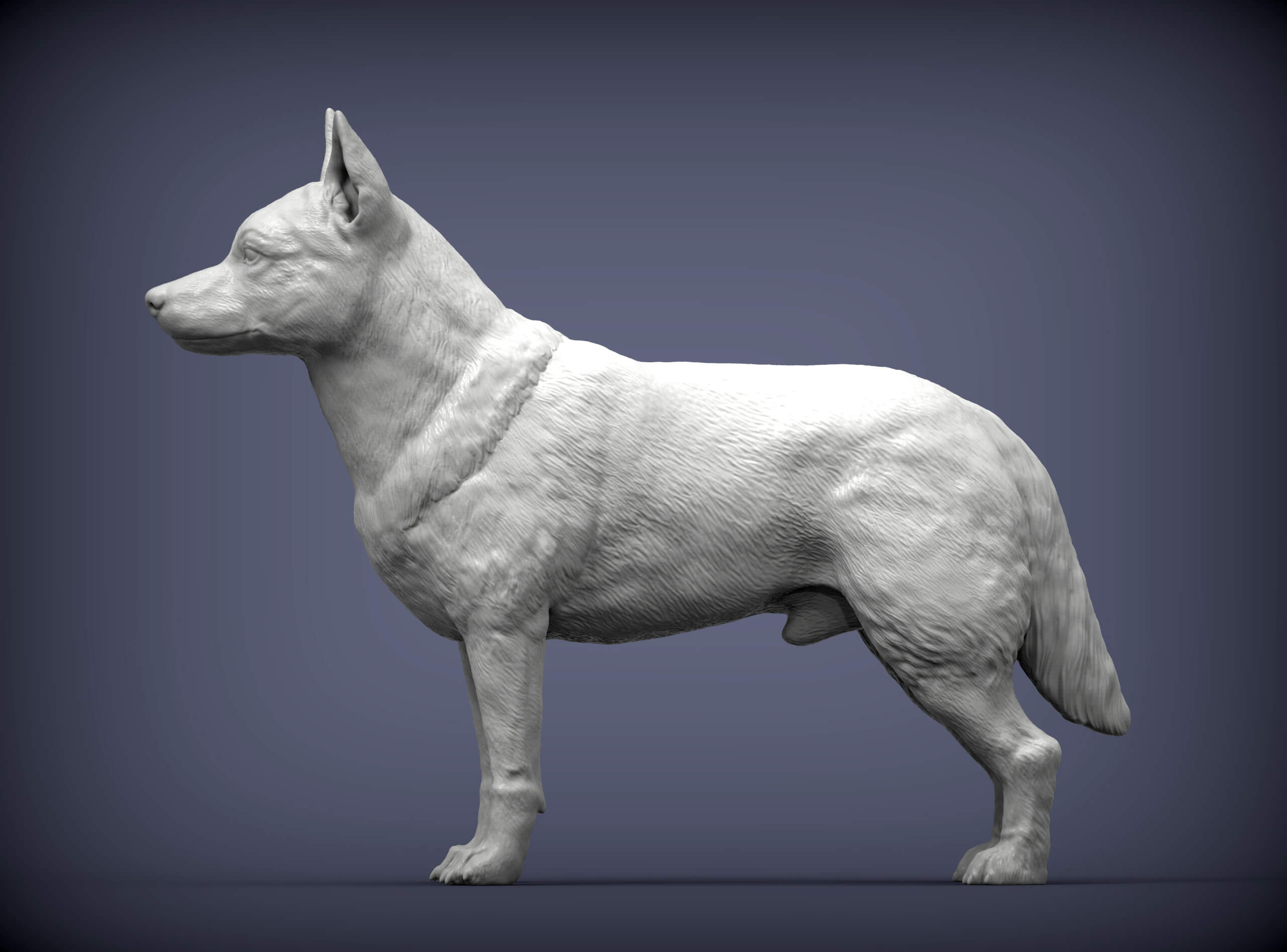 Australian Cattle Dog 3D Print Model by Alexander3dart
