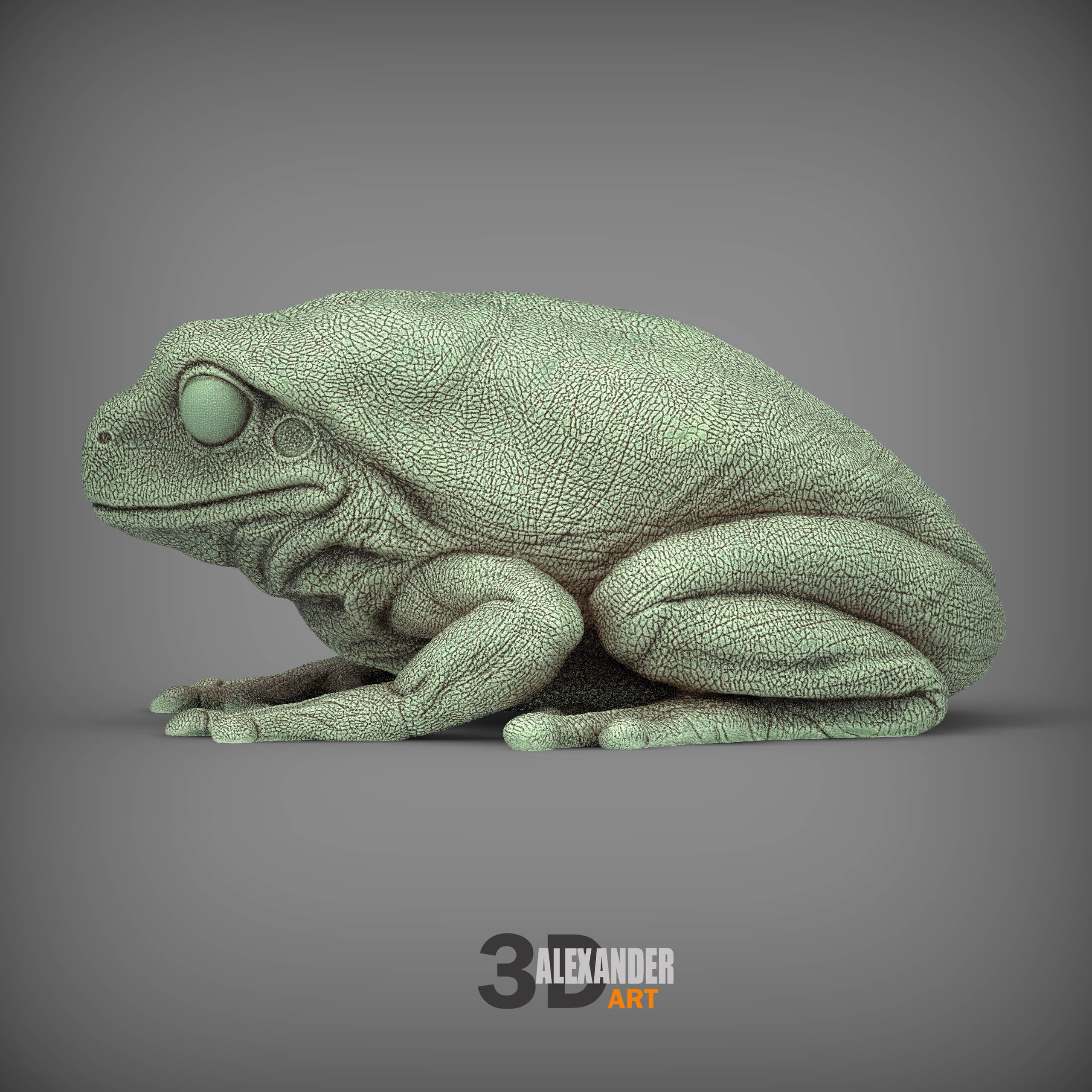 Australian Green Tree Frog - 3D Model by Alexander3dart