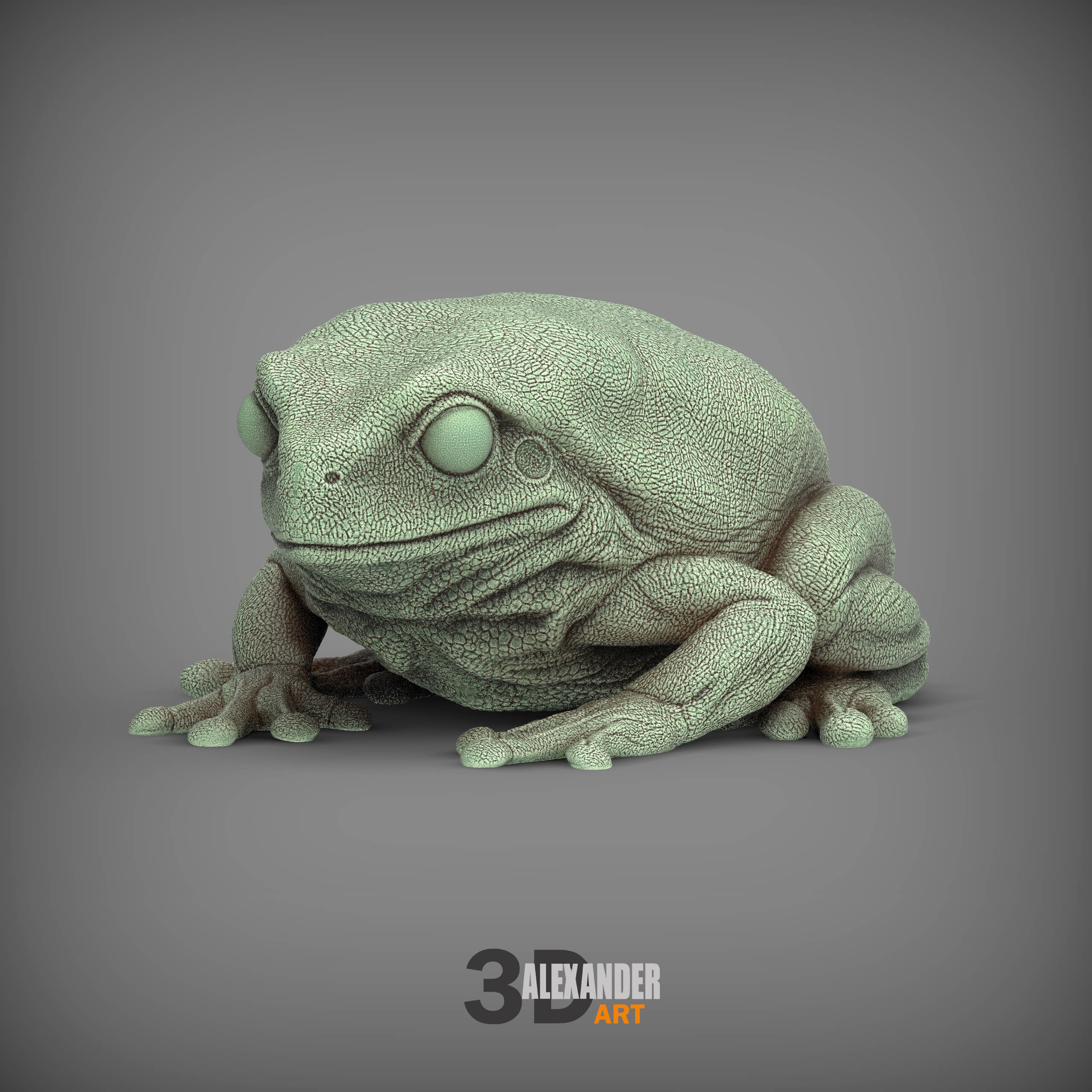 Australian Green Tree Frog - 3D Model by Alexander3dart