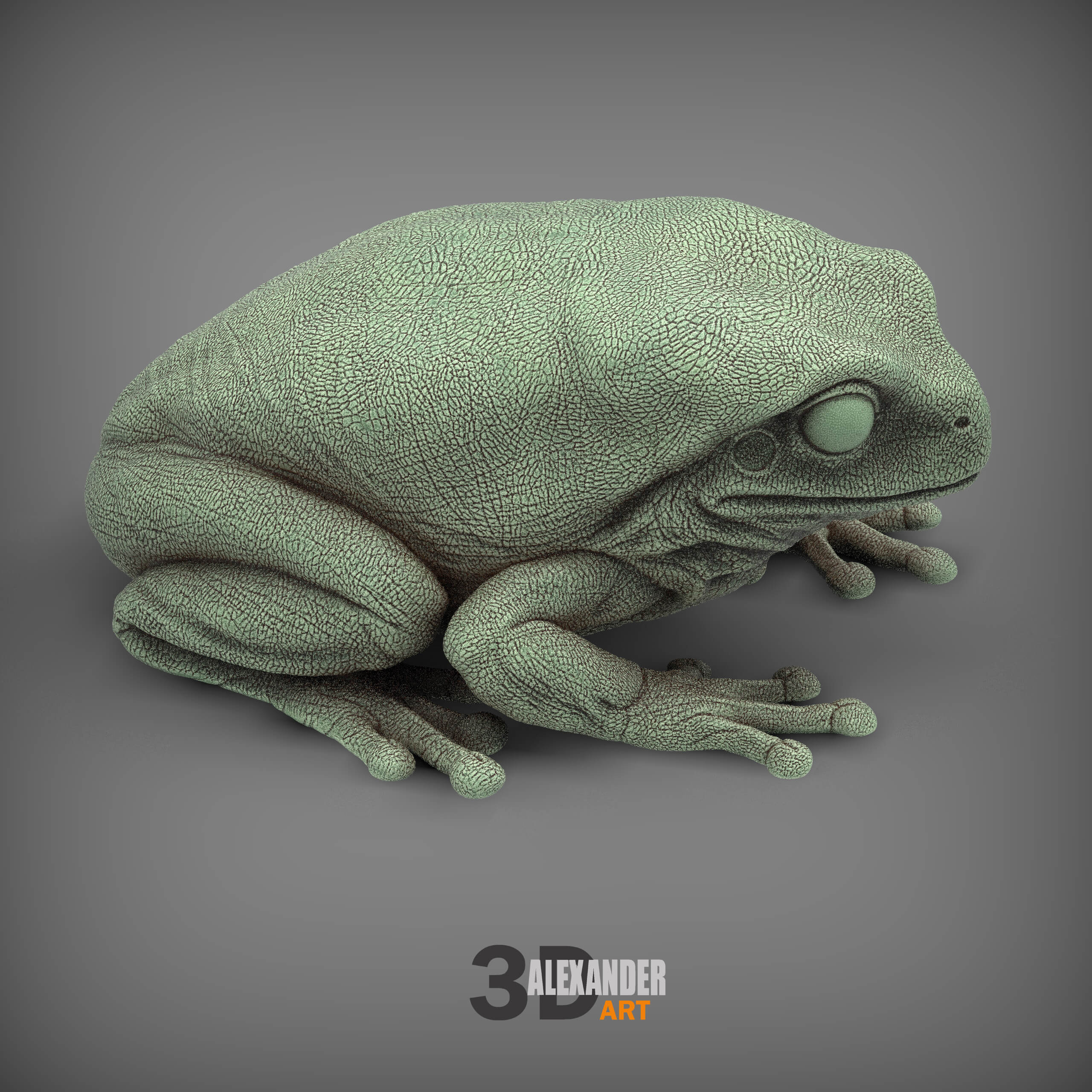 Australian Green Tree Frog - 3D Model by Alexander3dart