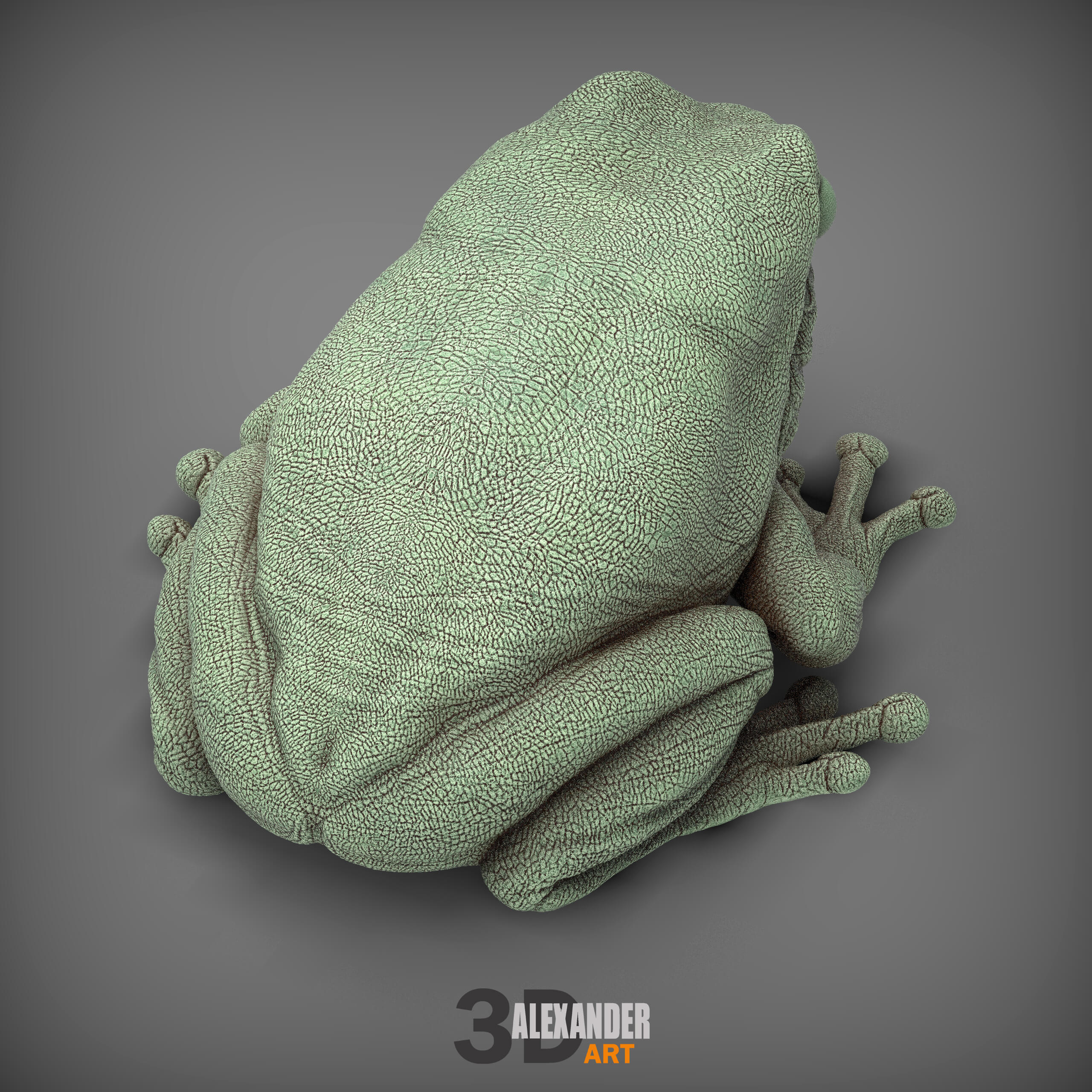 Australian Green Tree Frog - 3D Model by Alexander3dart