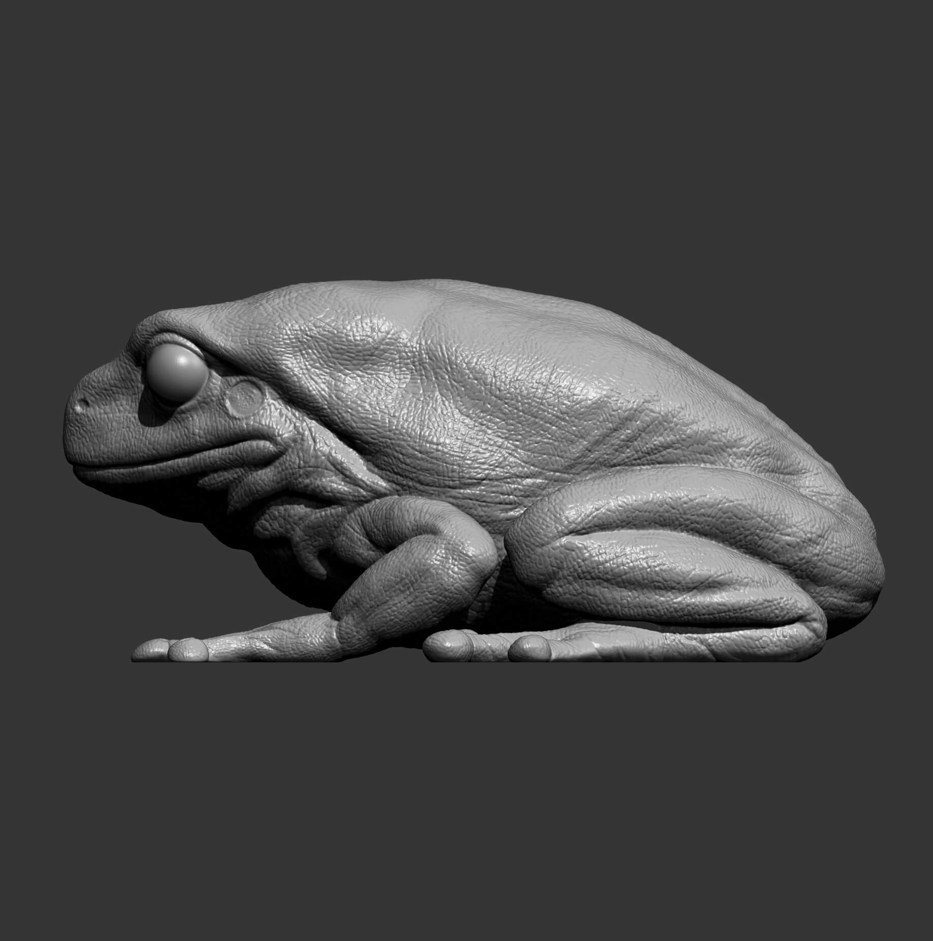 Australian Green Tree Frog - 3D Model by Alexander3dart