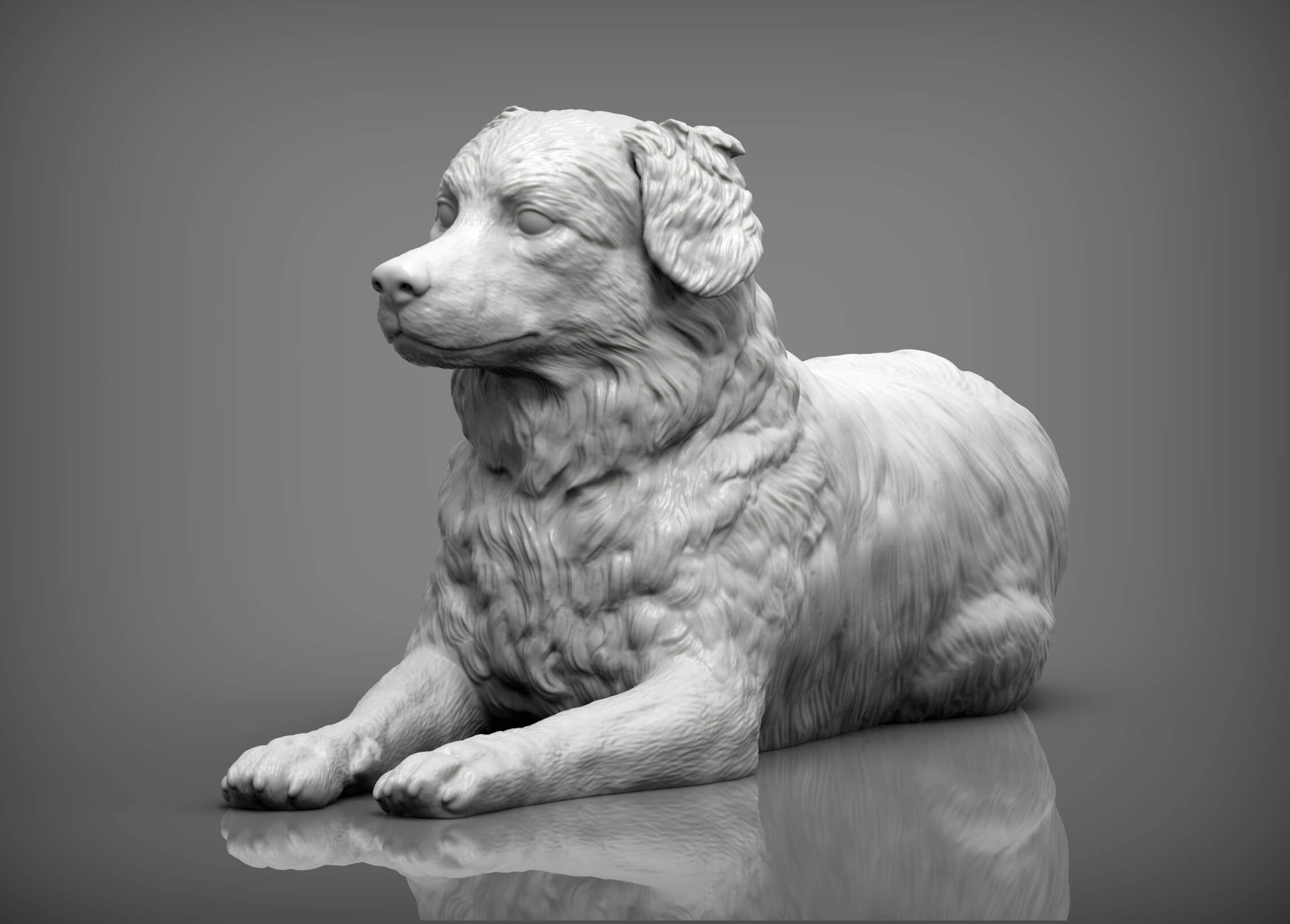 Australian Shepherd 3D Print Model by Alexander3dart