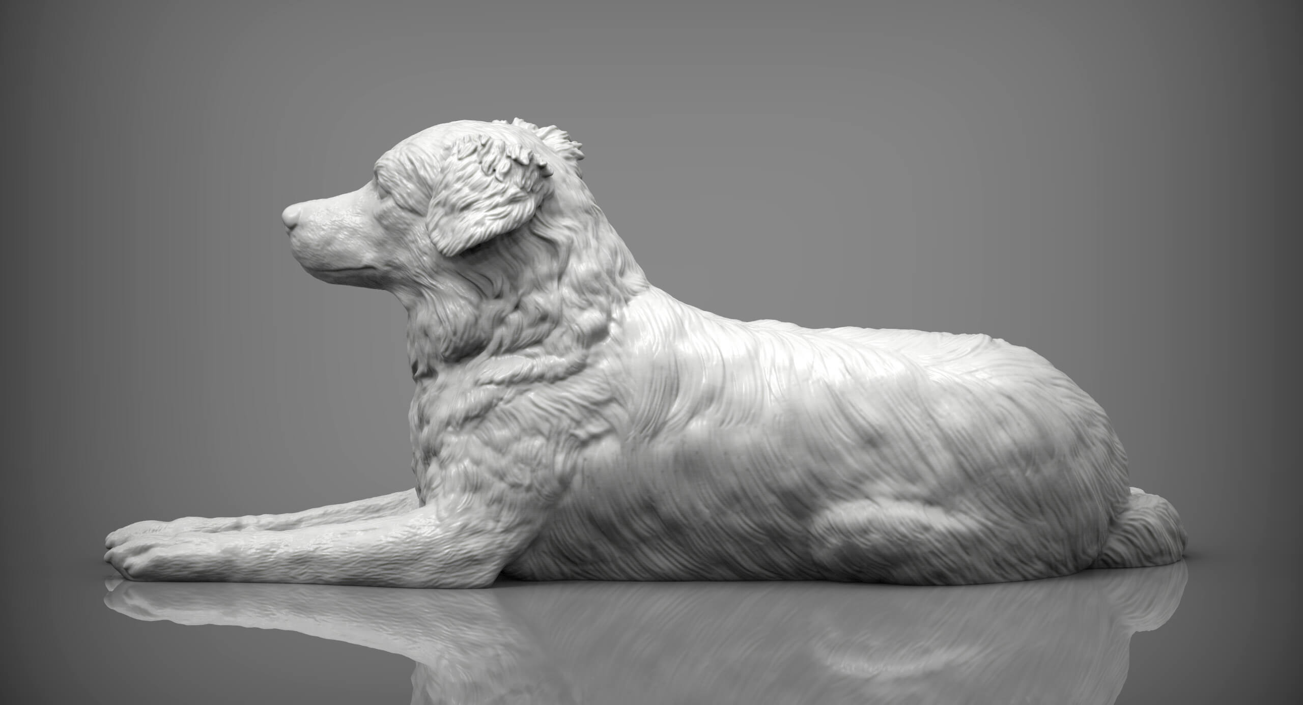 Australian Shepherd 3D Print Model by Alexander3dart