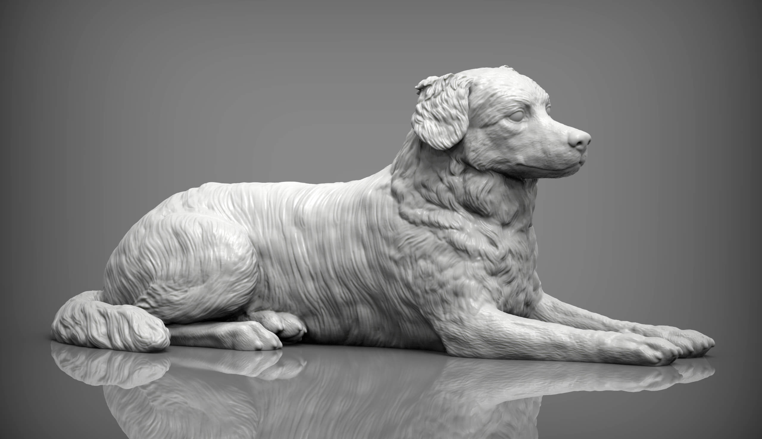 Australian Shepherd 3D Print Model by Alexander3dart