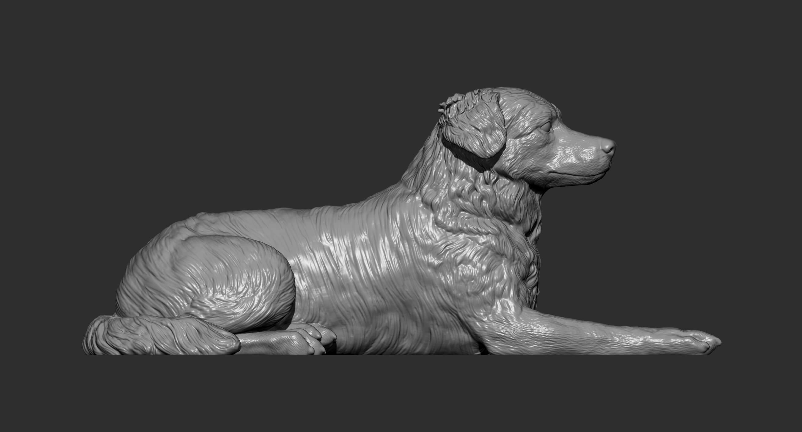 Australian Shepherd 3D Print Model by Alexander3dart