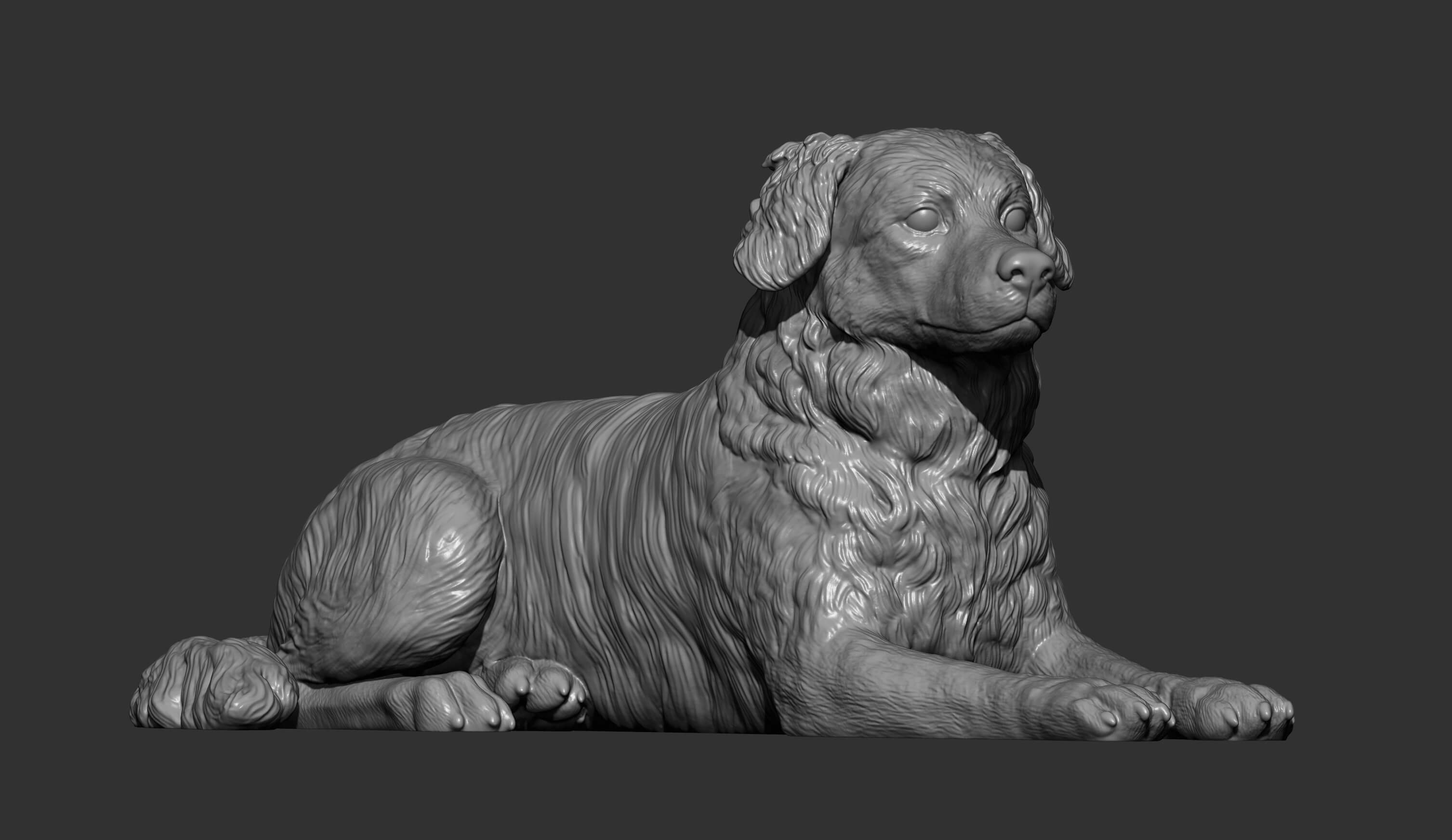 Australian Shepherd 3D Print Model by Alexander3dart