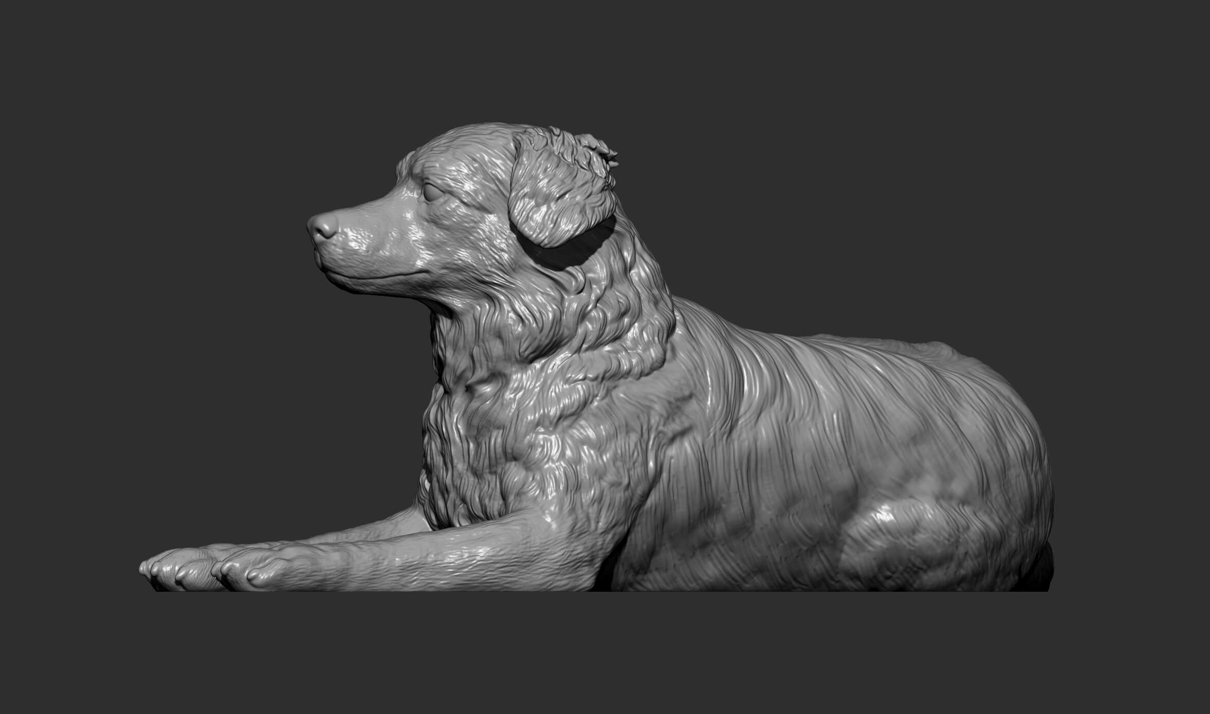 Australian Shepherd 3D Print Model by Alexander3dart