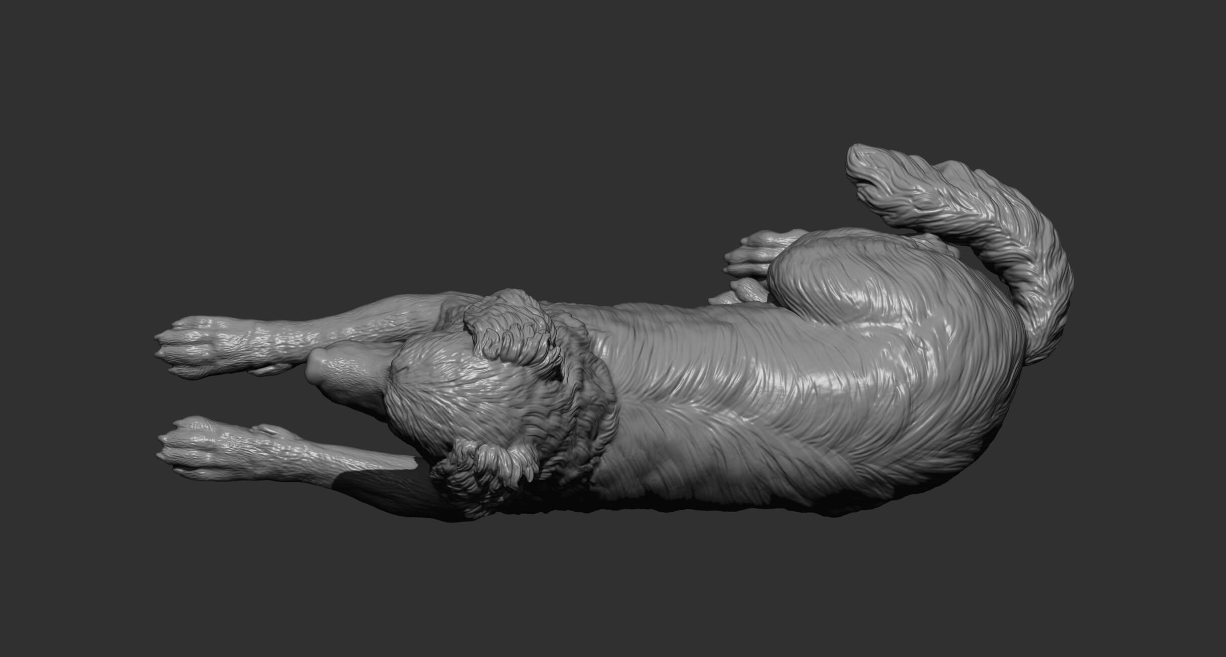 Australian Shepherd 3D Print Model by Alexander3dart