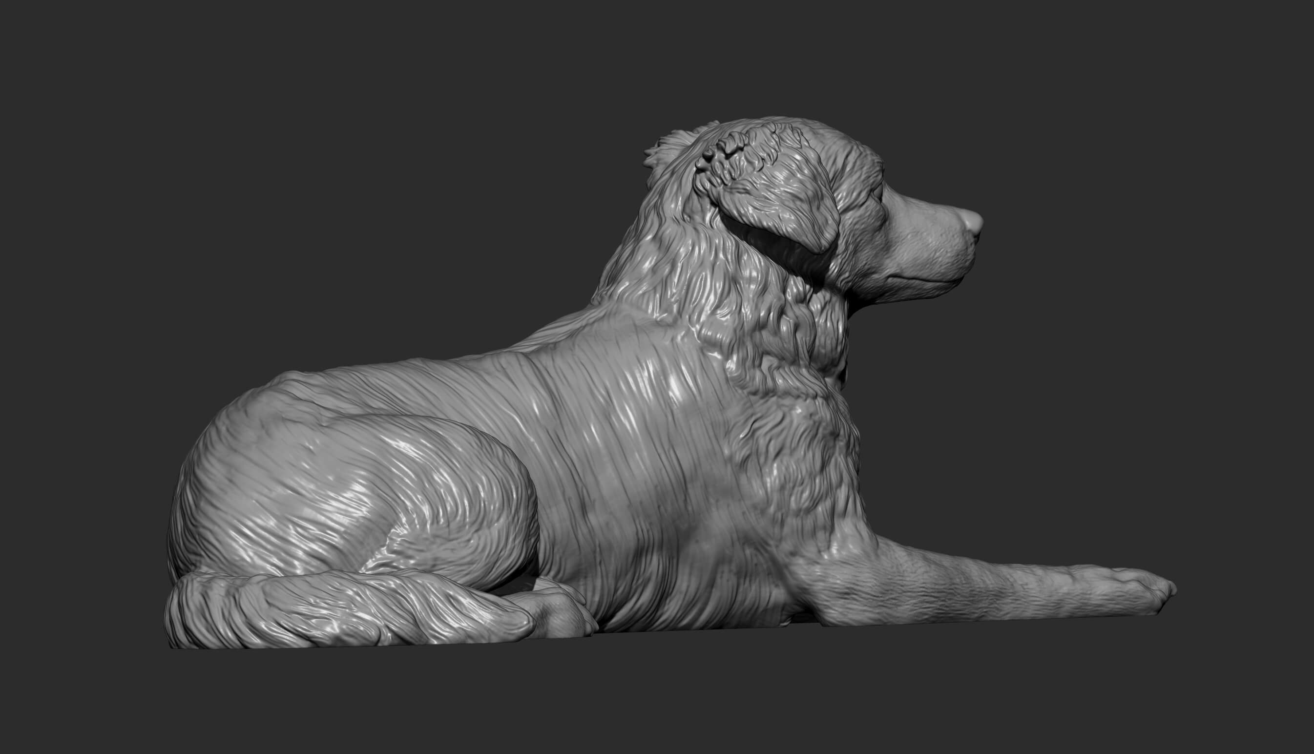 Australian Shepherd 3D Print Model by Alexander3dart