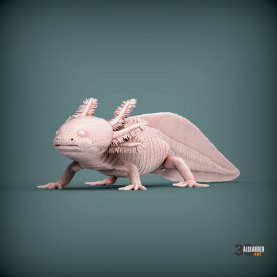 Axolotl Sculpture - 3D Model by Alexander3dart