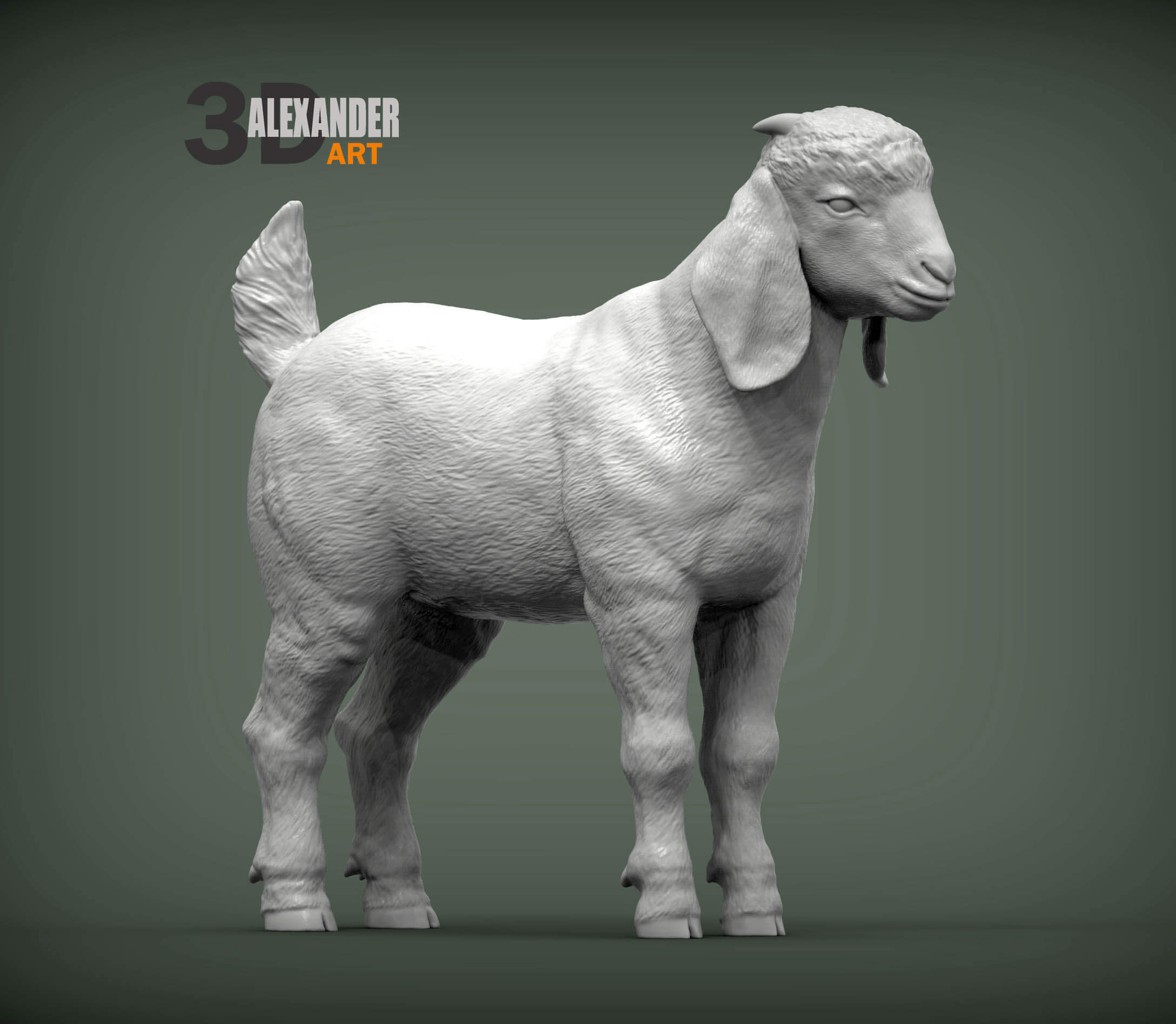Baby Boer Goat 3D Print Model by Alexander3dart