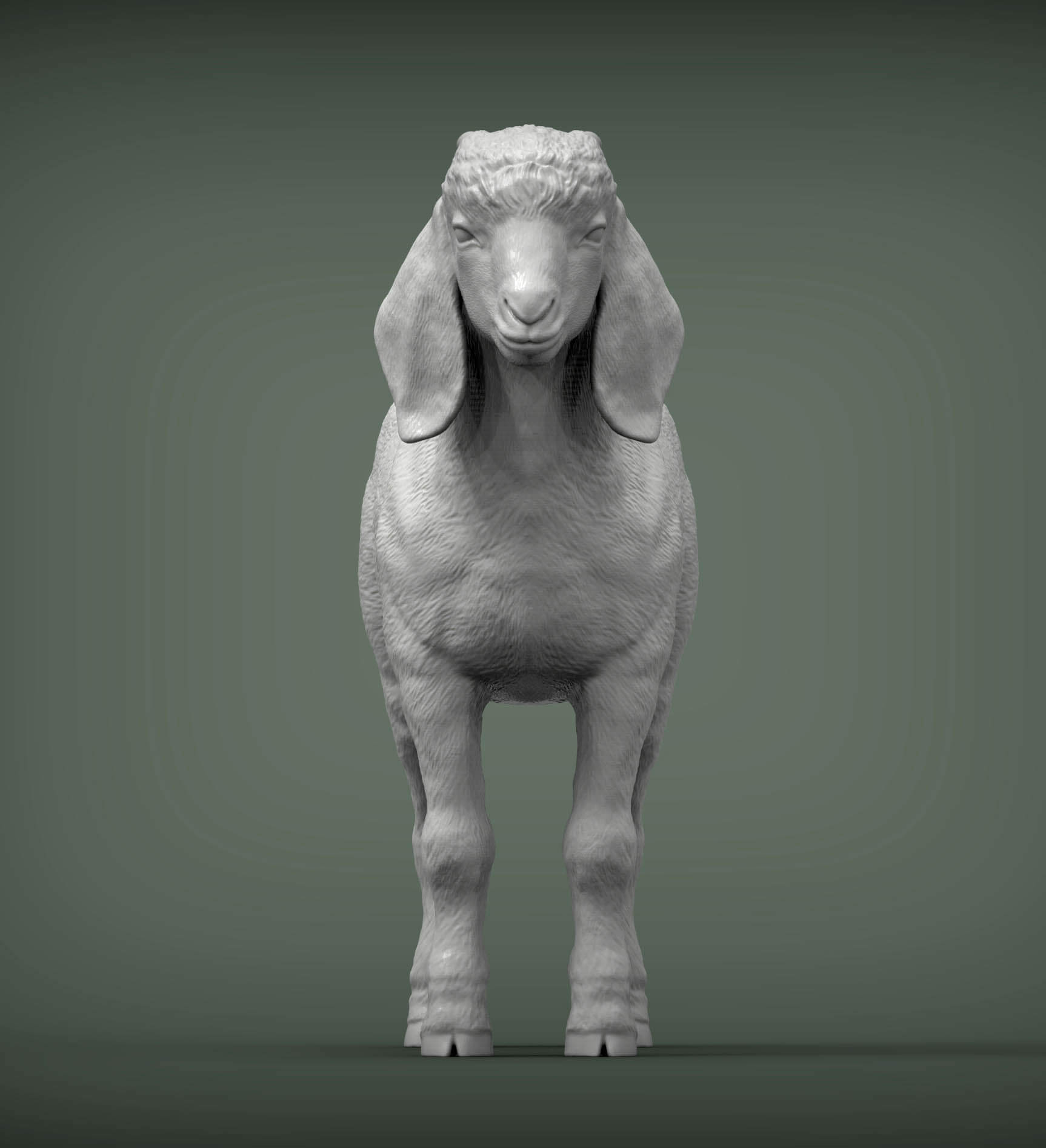 Baby Boer Goat 3D Print Model by Alexander3dart