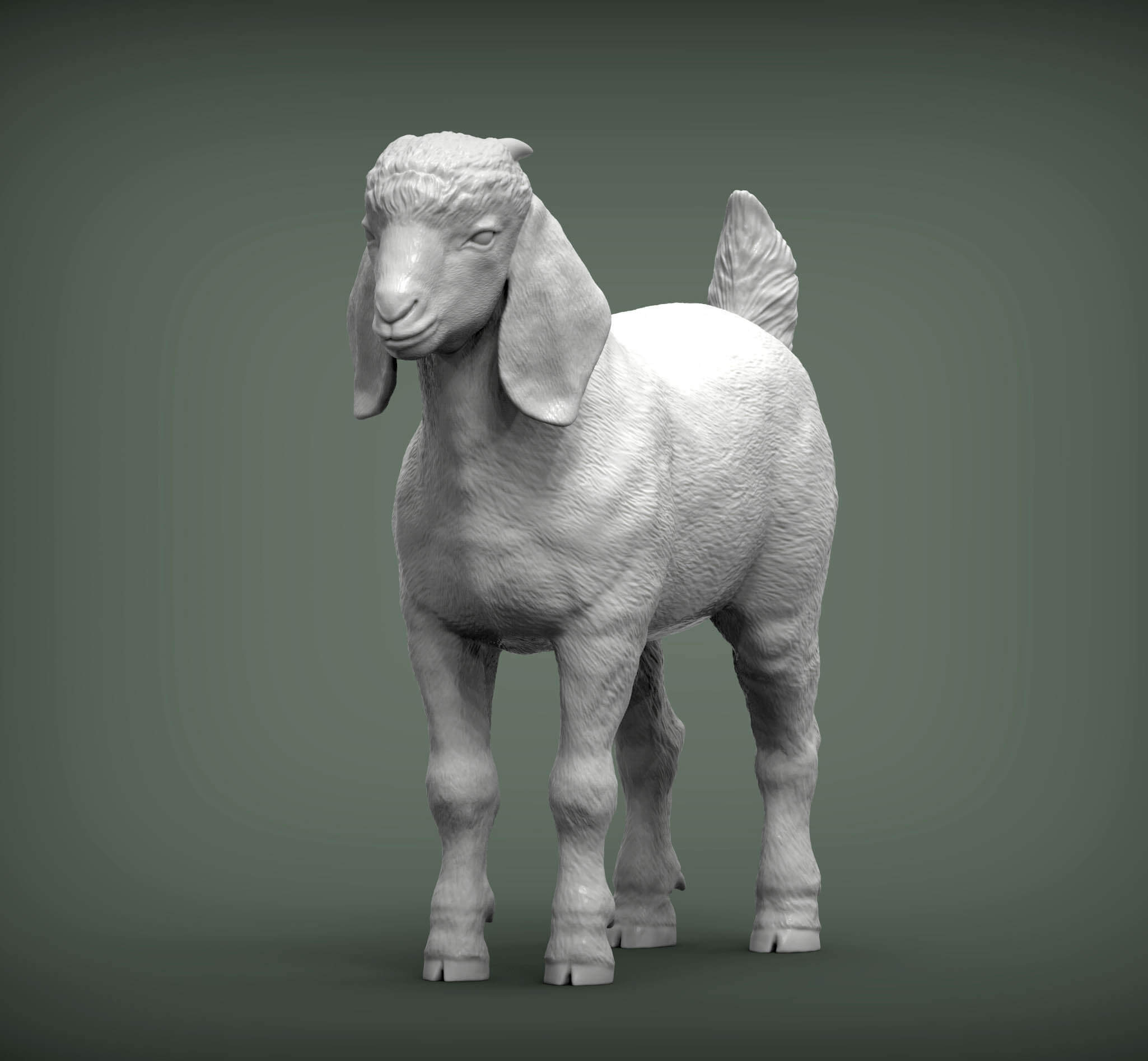 Baby Boer Goat 3D Print Model by Alexander3dart