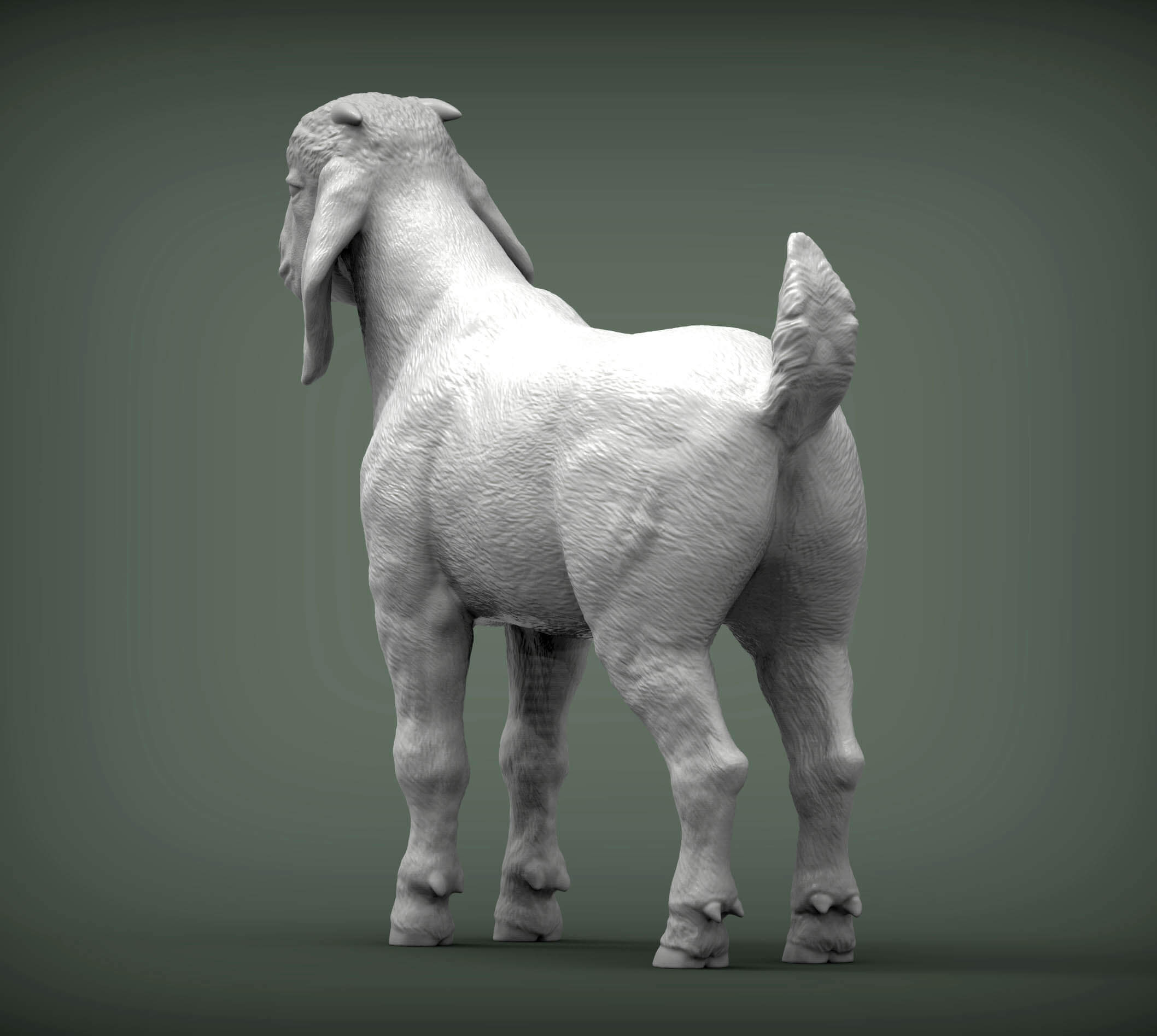 Baby Boer Goat 3D Print Model by Alexander3dart
