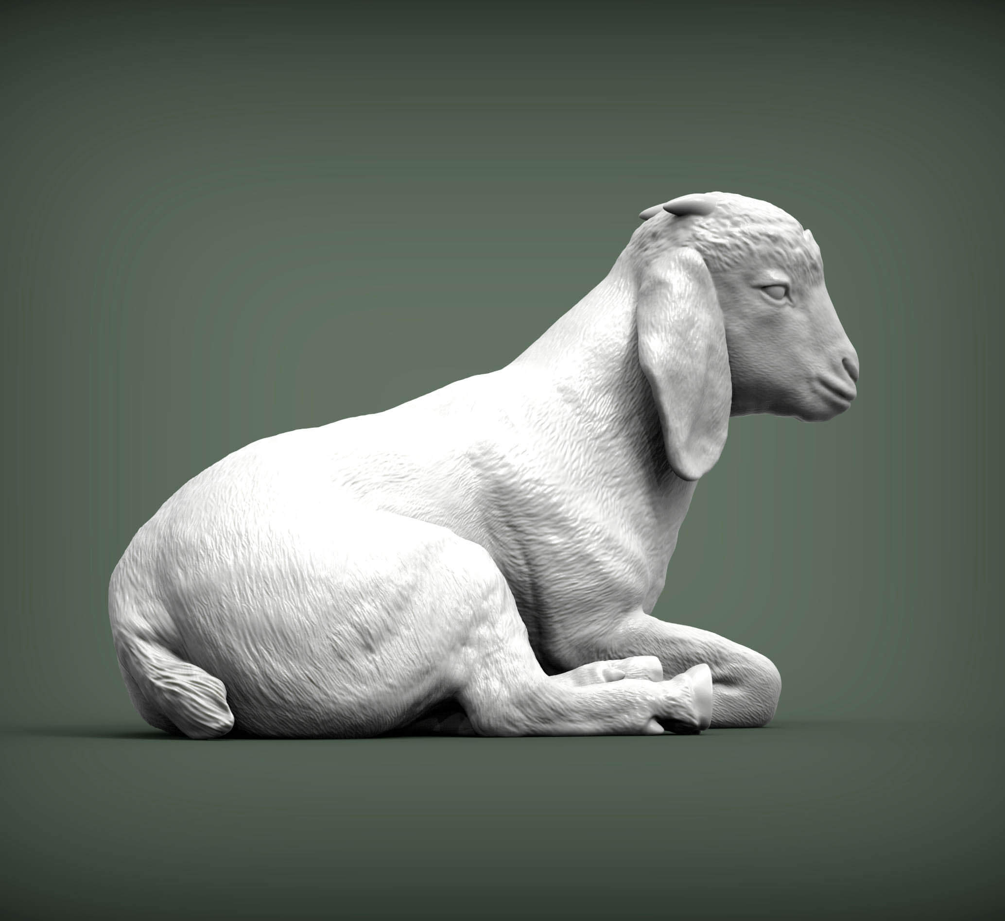 Baby Boer Goat Lying Down 3D Print Model by Alexander3dart