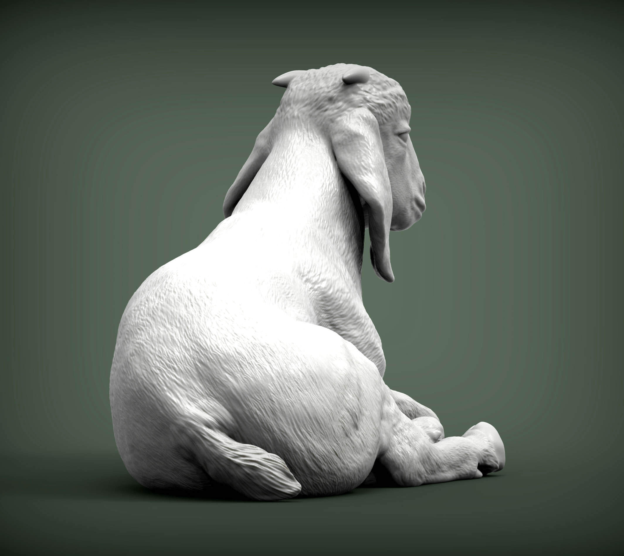 Baby Boer Goat Lying Down 3D Print Model by Alexander3dart