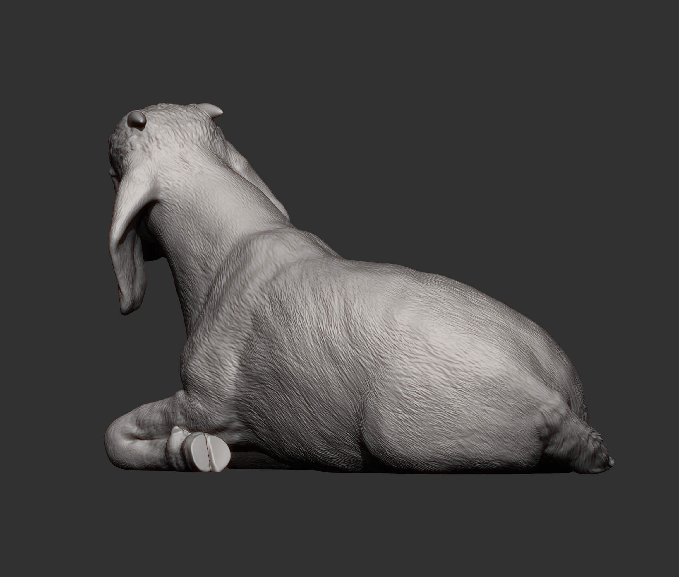 Baby Boer Goat Lying Down 3D Print Model by Alexander3dart