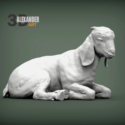 Baby Boer Goat Lying Down 3D Print Model by Alexander3dart