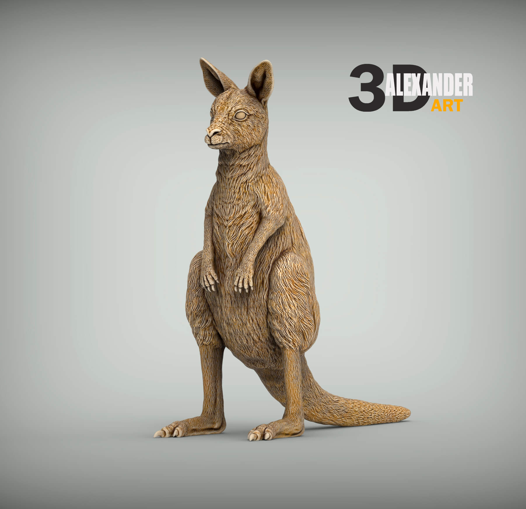 Baby Kangaroo - 3D Model by Alexander3dart