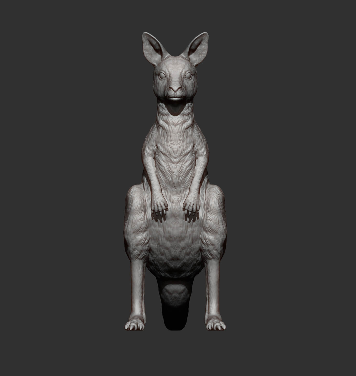Baby Kangaroo - 3D Model by Alexander3dart