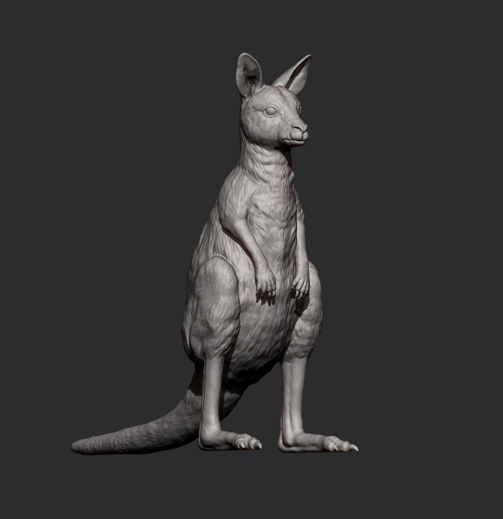 Baby Kangaroo - 3D Model by Alexander3dart