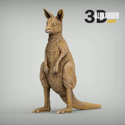 Ztl 3D Models | Animals | Kangaroos | RenderHub