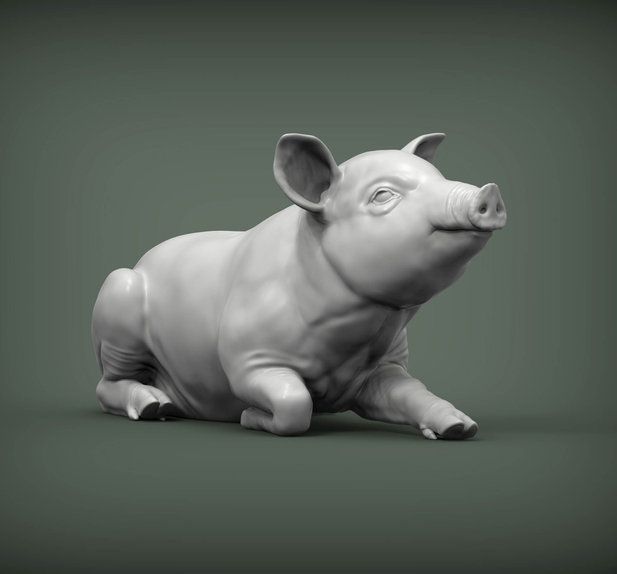 Baby Pig Lies - 3D Model by Alexander3dart