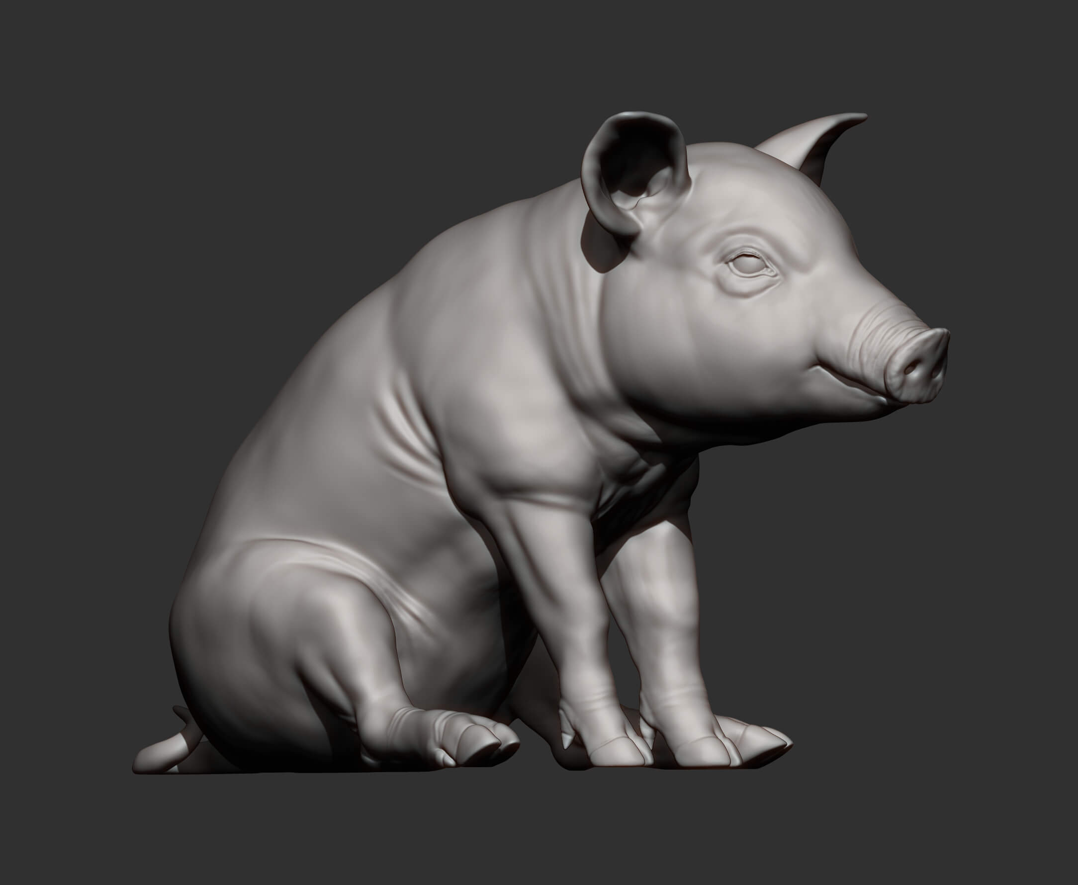 Baby Pig Sitting - 3D Model by Alexander3dart