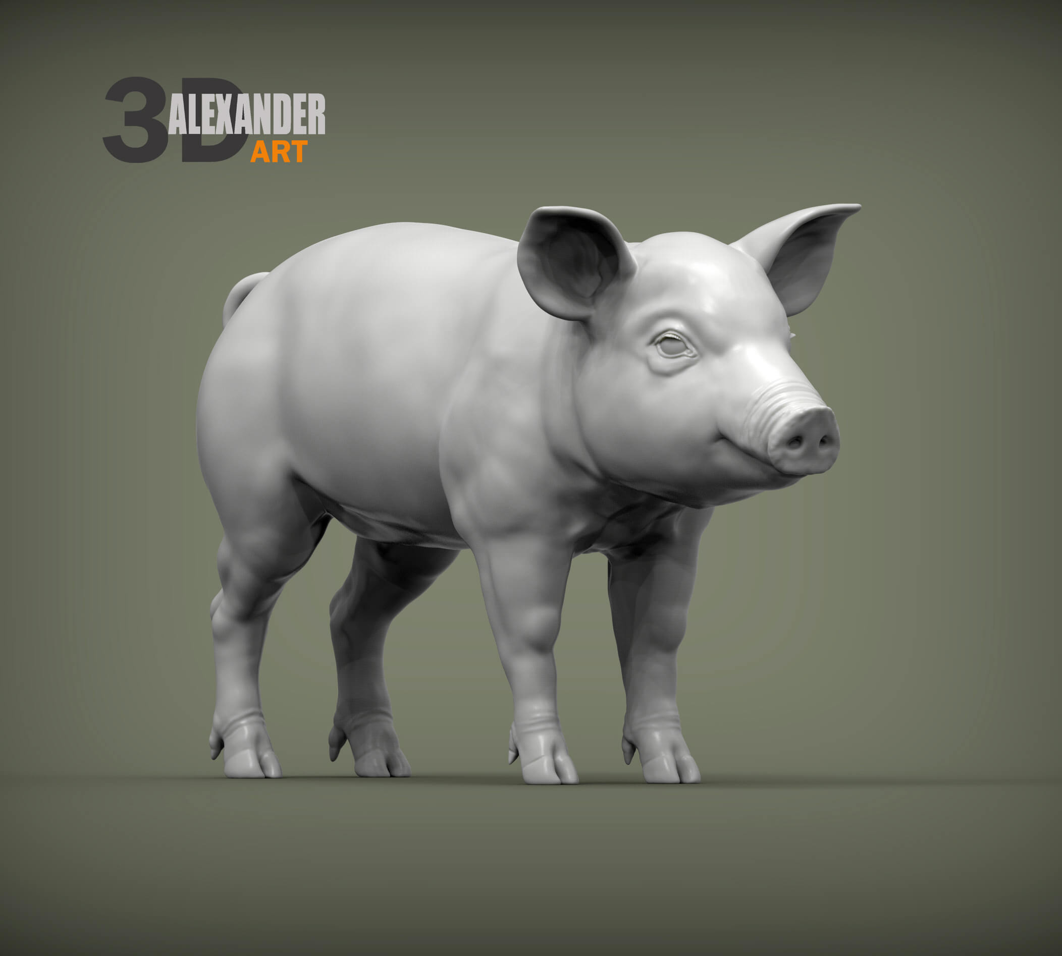 Baby Pig Stands - 3D Model by Alexander3dart