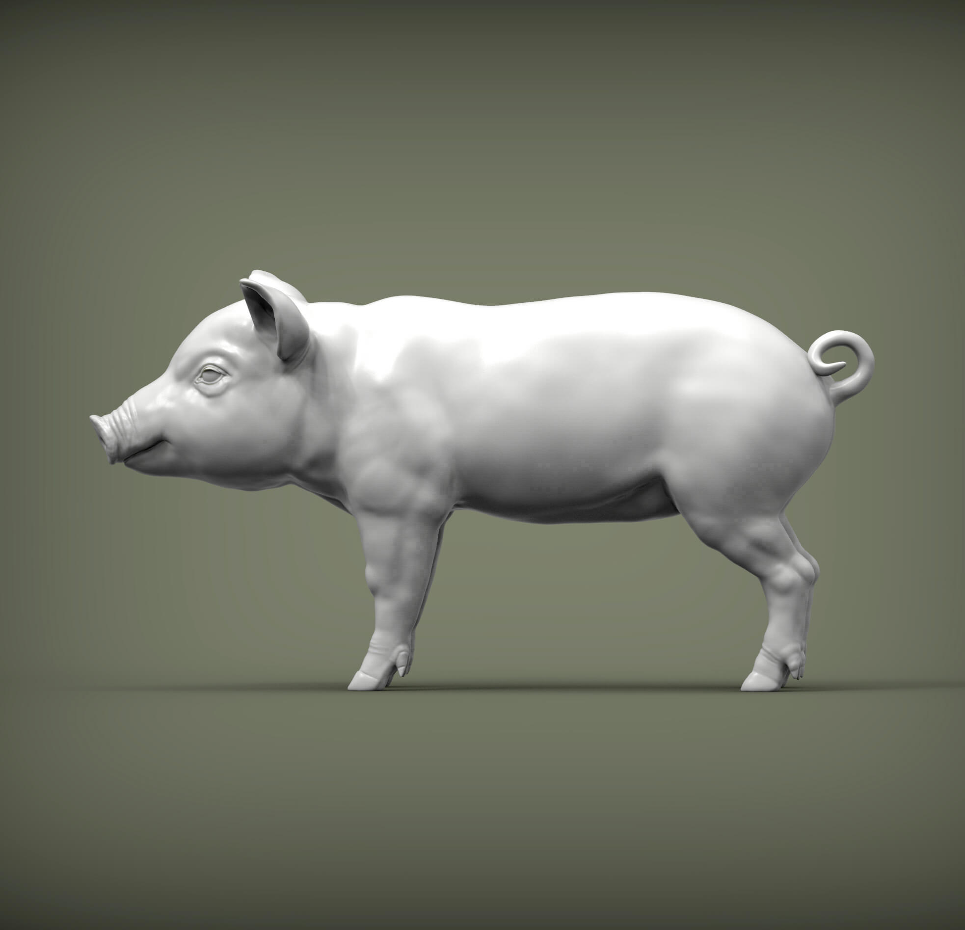 Baby Pig Stands - 3D Model by Alexander3dart