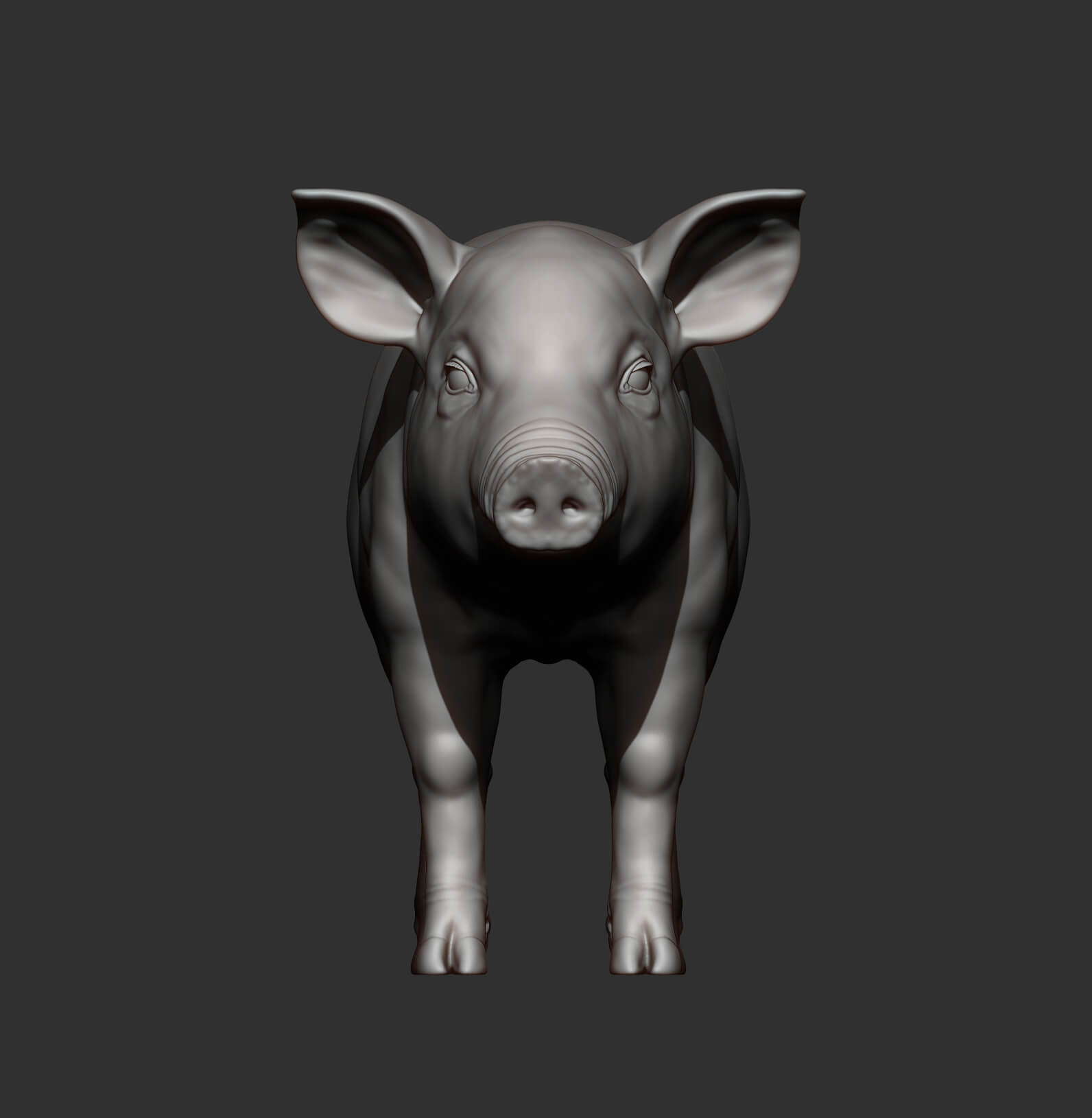 Baby Pig Stands - 3D Model by Alexander3dart
