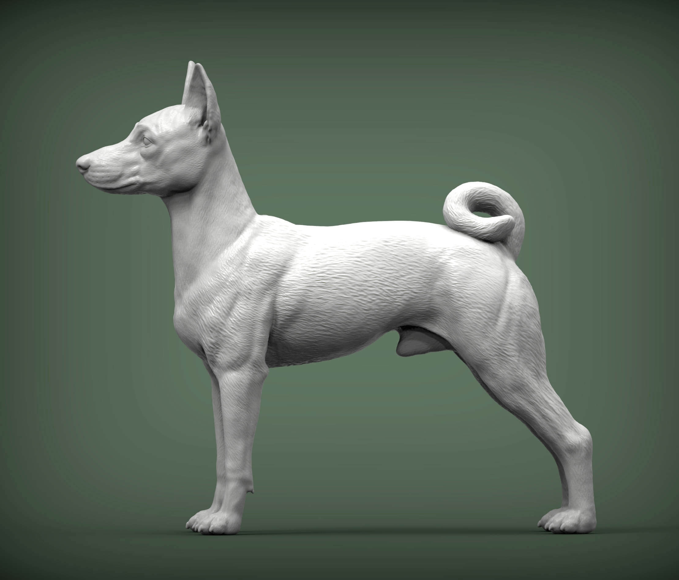 Basenji 3D Print Model by Alexander3dart