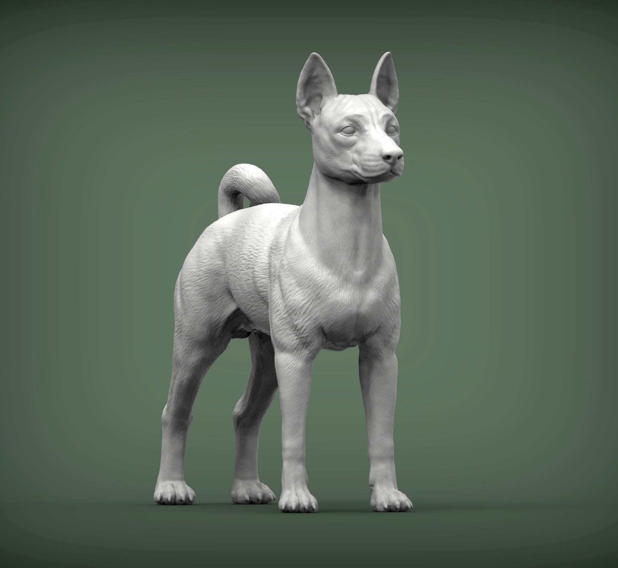Basenji 3D Print Model by Alexander3dart