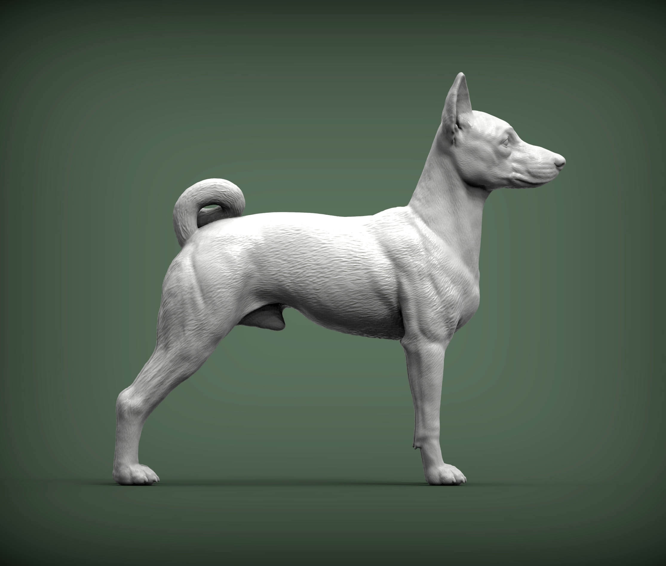 Basenji 3D Print Model by Alexander3dart