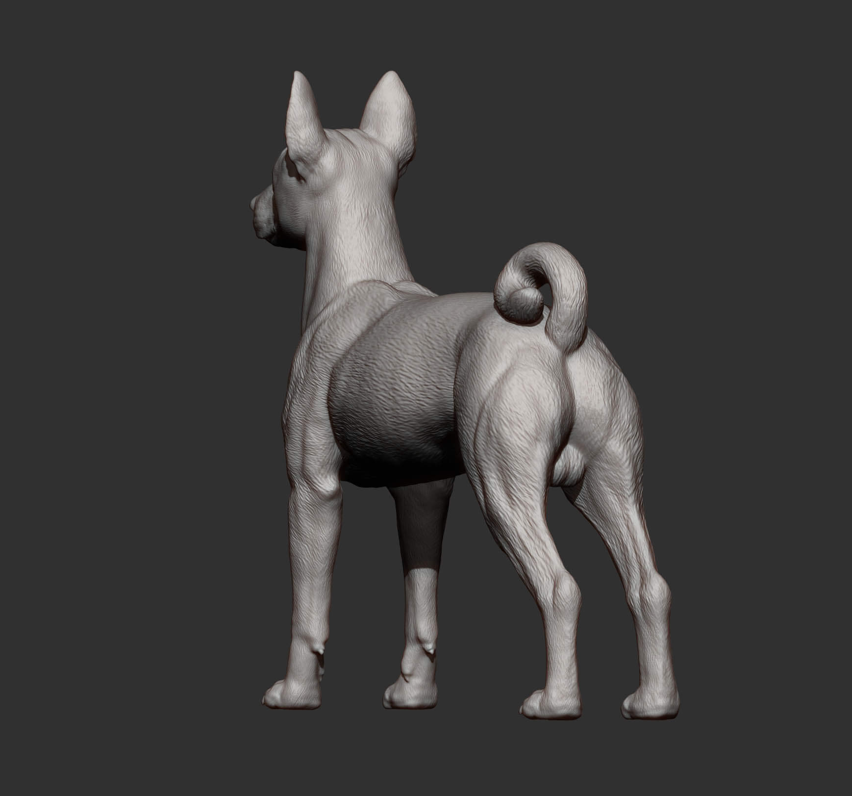Basenji 3D Print Model by Alexander3dart