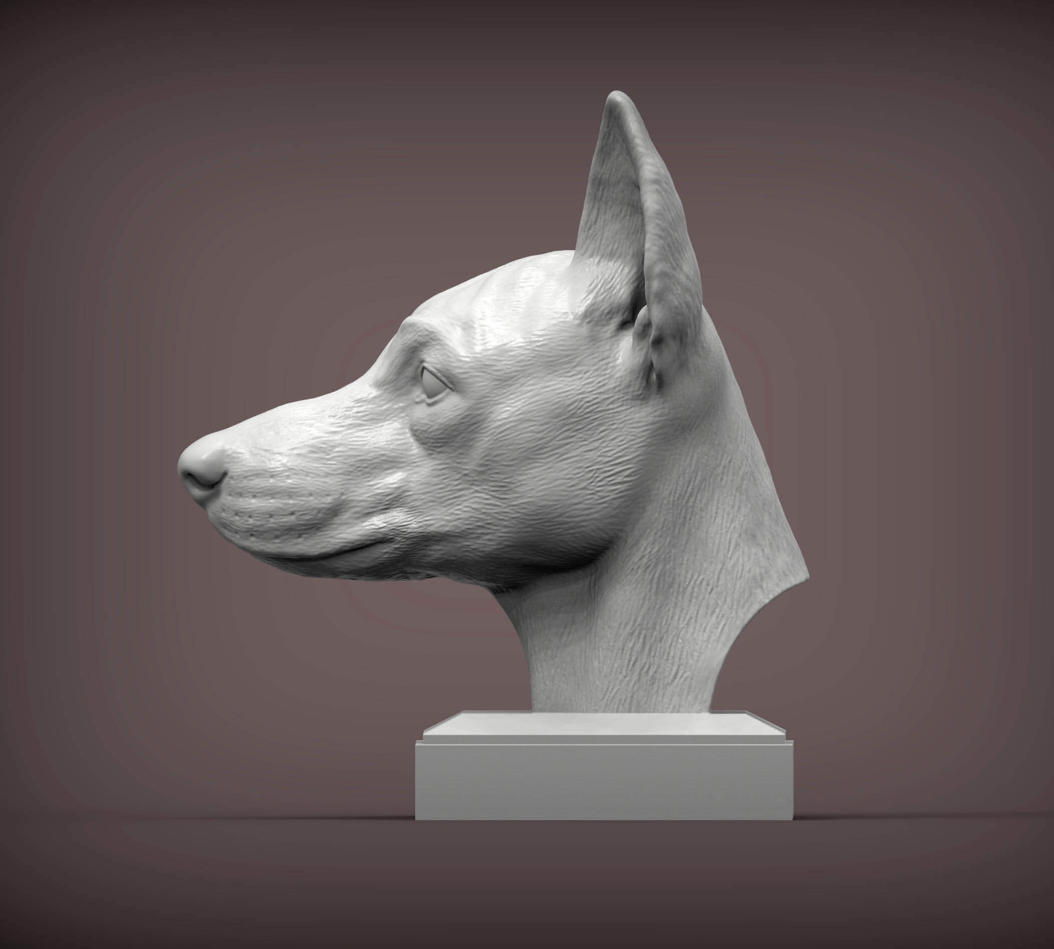 Basenji Bust 3D Print Model by Alexander3dart