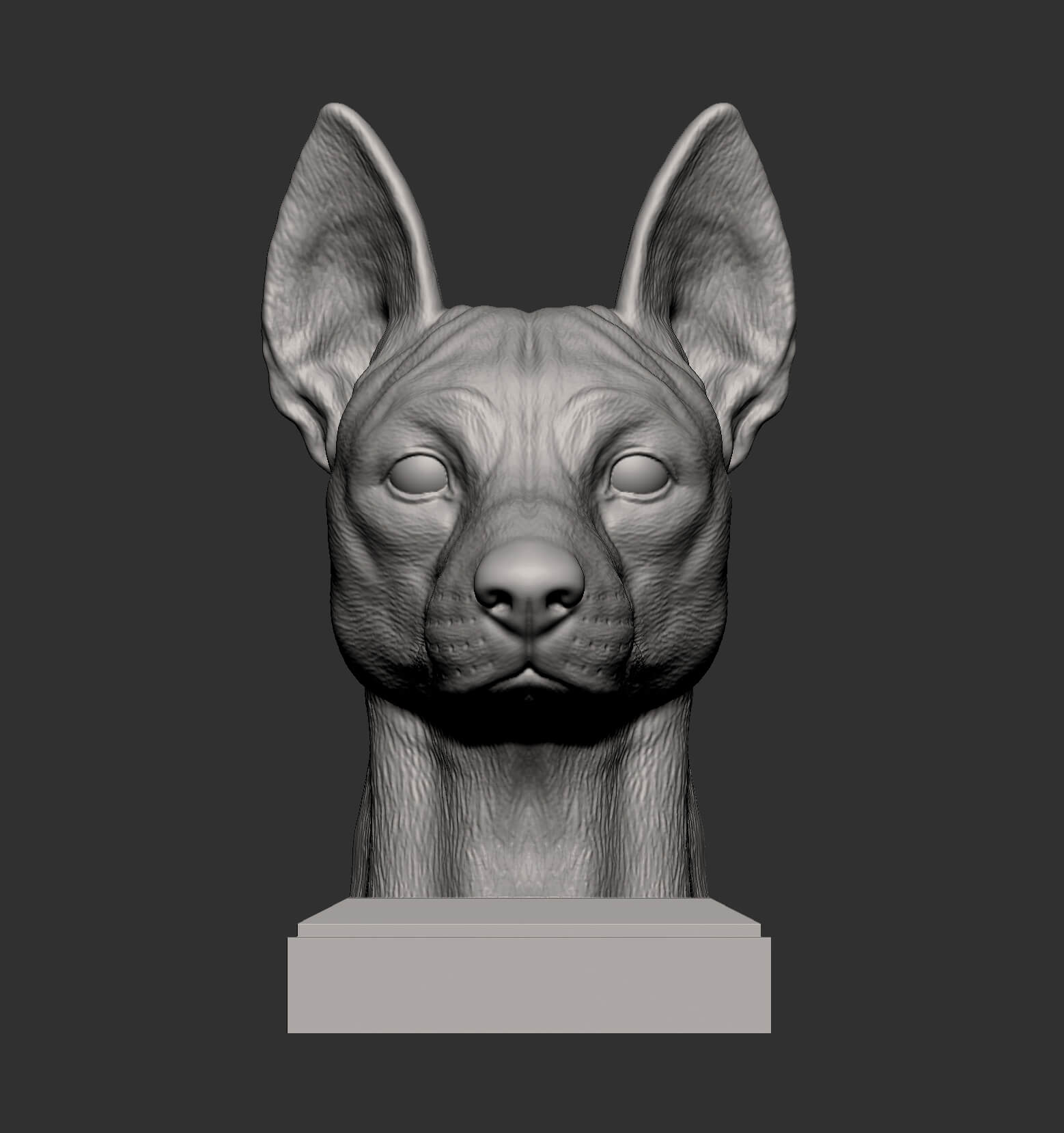 Basenji Bust 3D Print Model by Alexander3dart