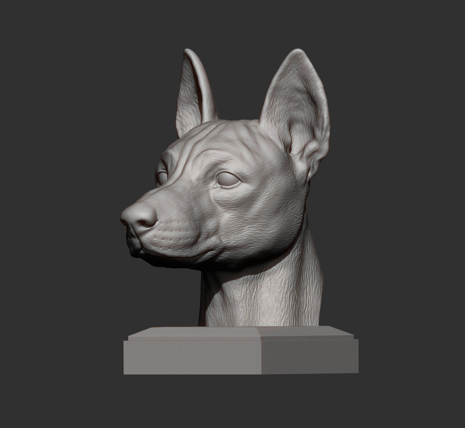 Basenji Bust 3D Print Model by Alexander3dart