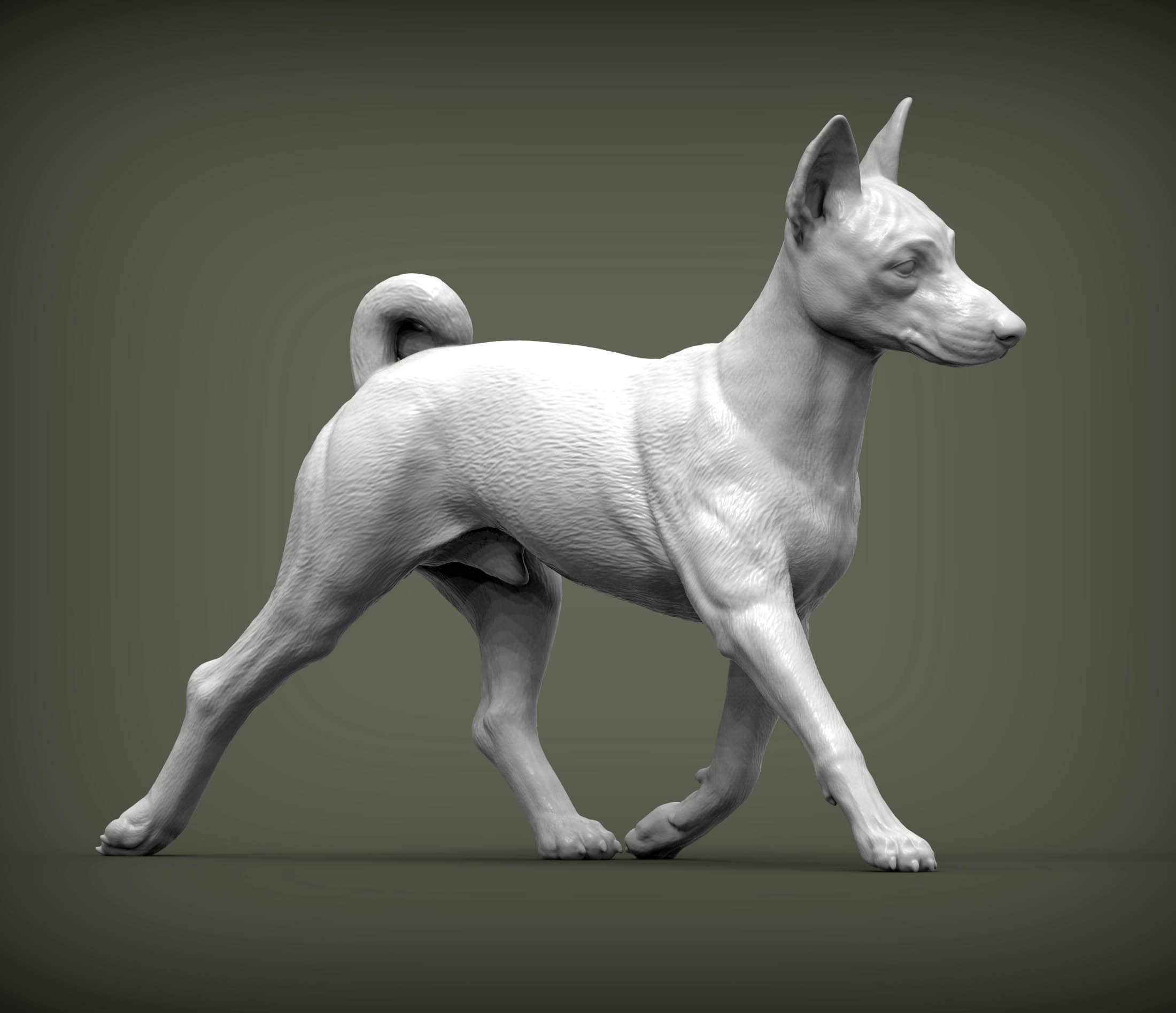 Basenji Runs 3D Print Model by Alexander3dart