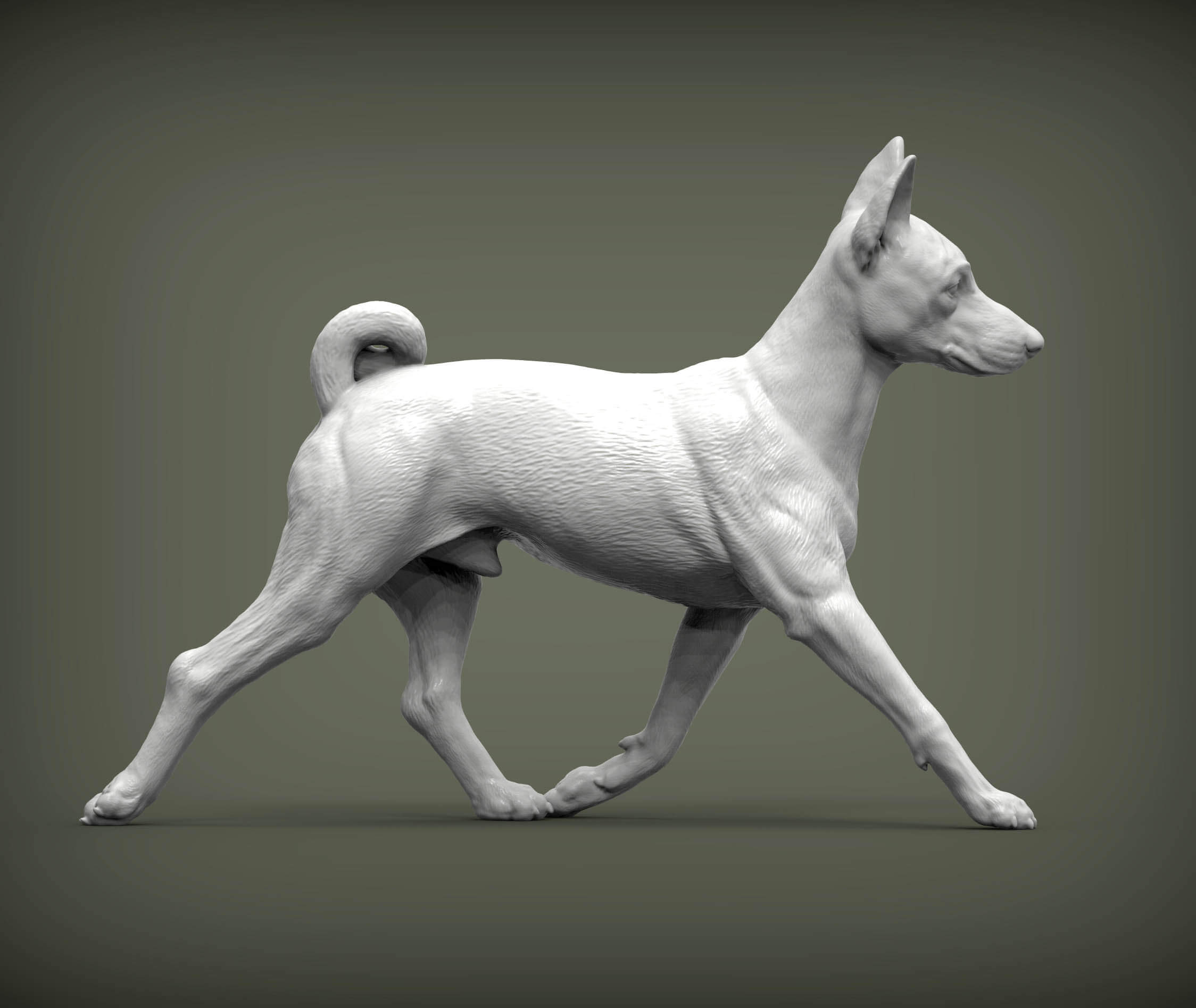 Basenji Runs 3D Print Model by Alexander3dart