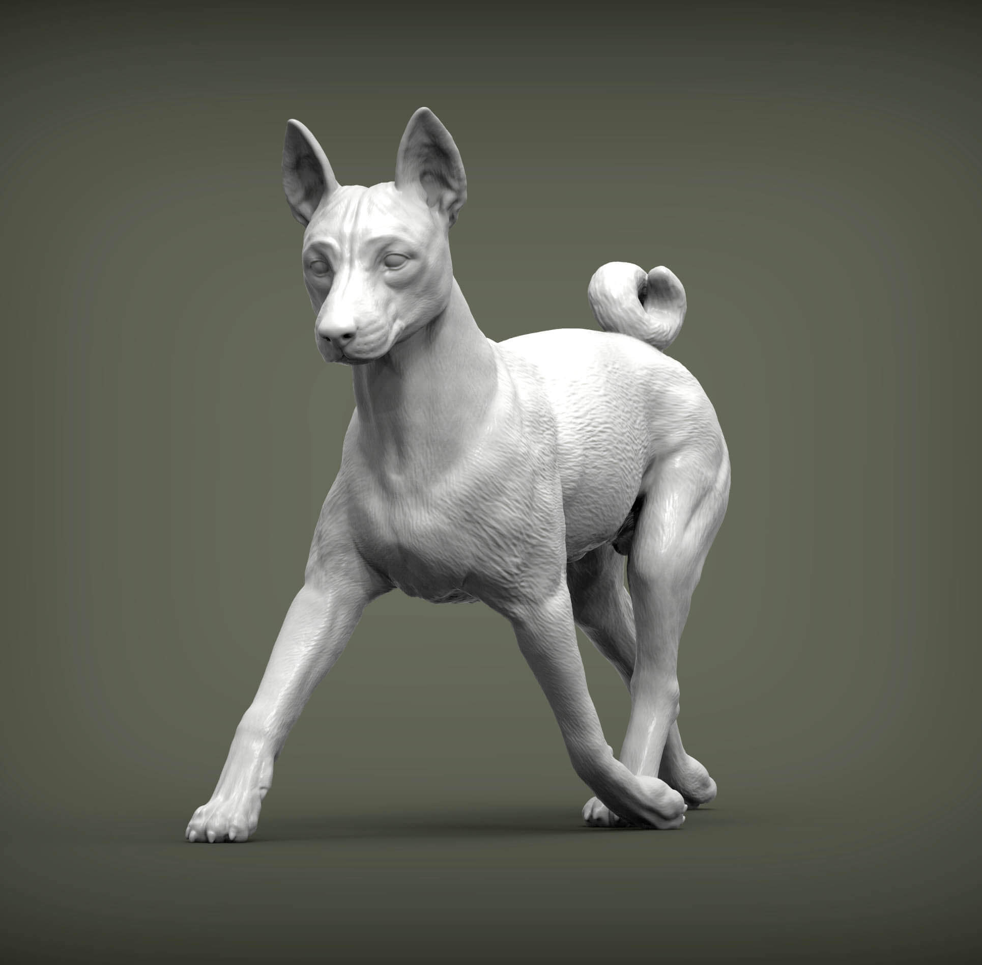 Basenji Runs 3D Print Model by Alexander3dart
