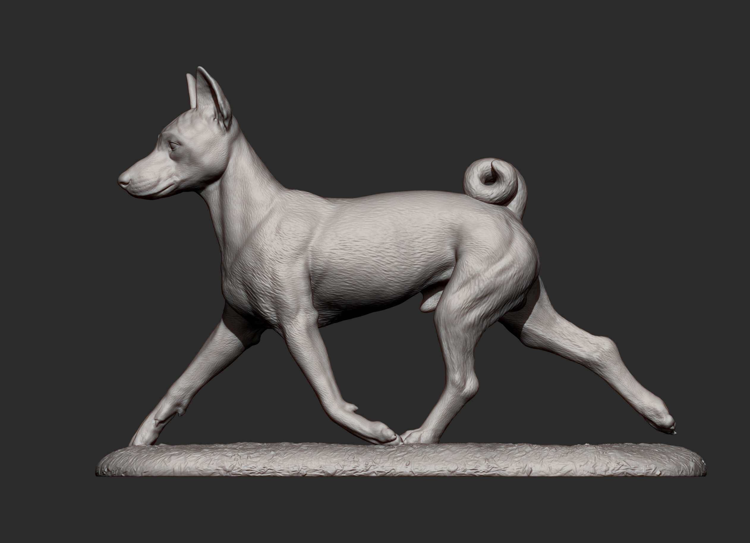 Basenji Runs 3D Print Model by Alexander3dart