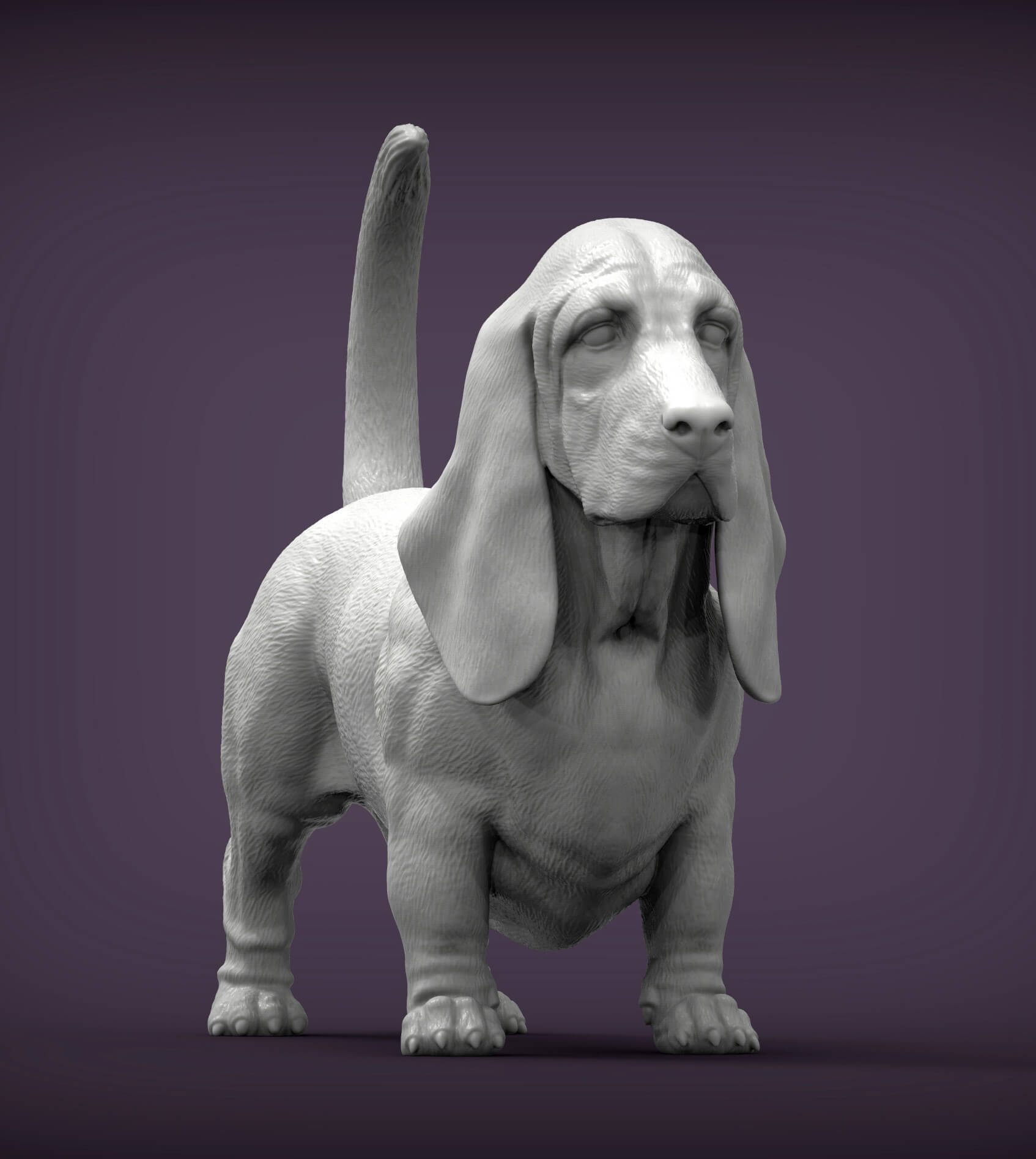 Basset Hound 3D Print Model by Alexander3dart