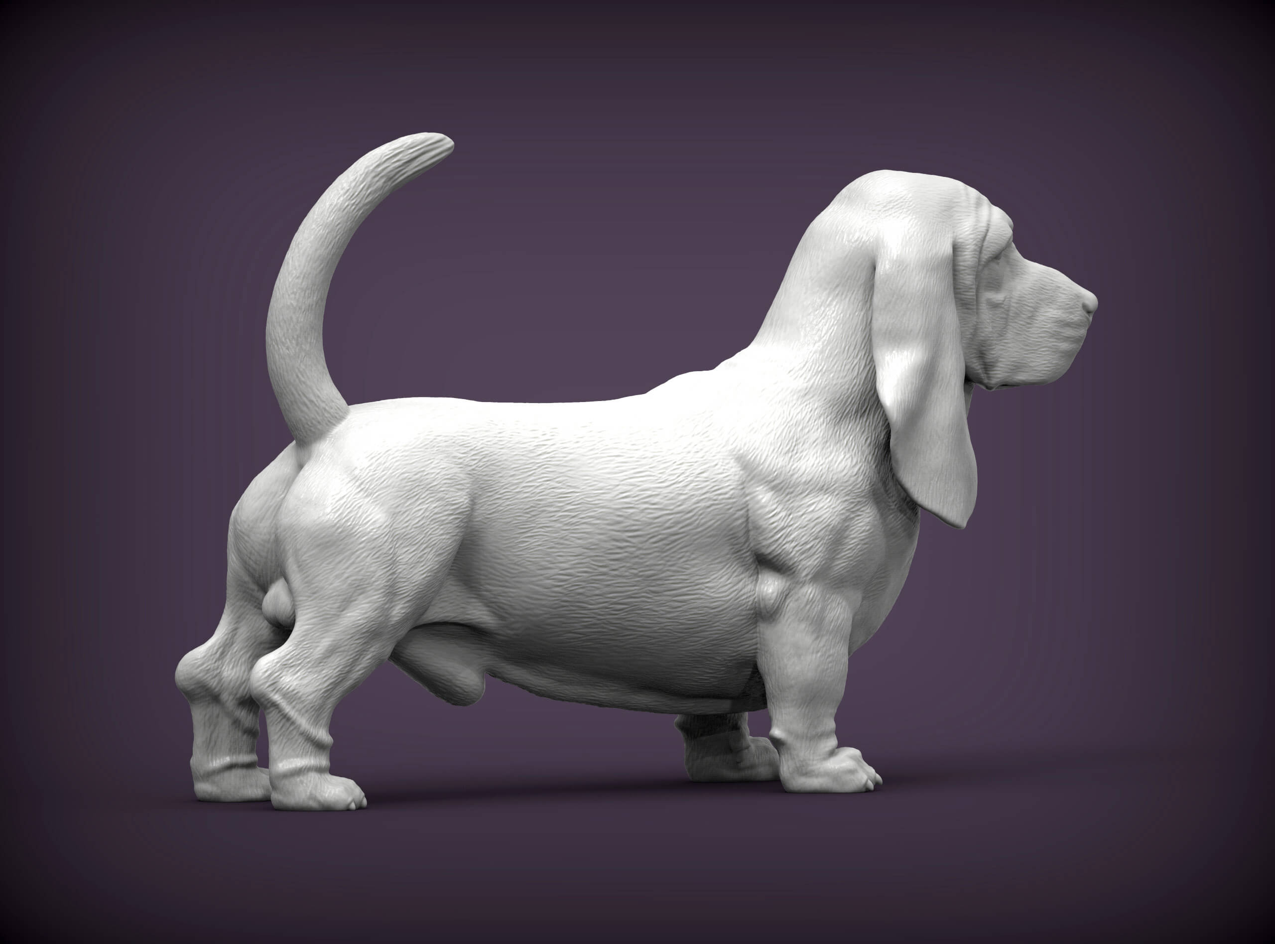 Basset Hound 3D Print Model by Alexander3dart