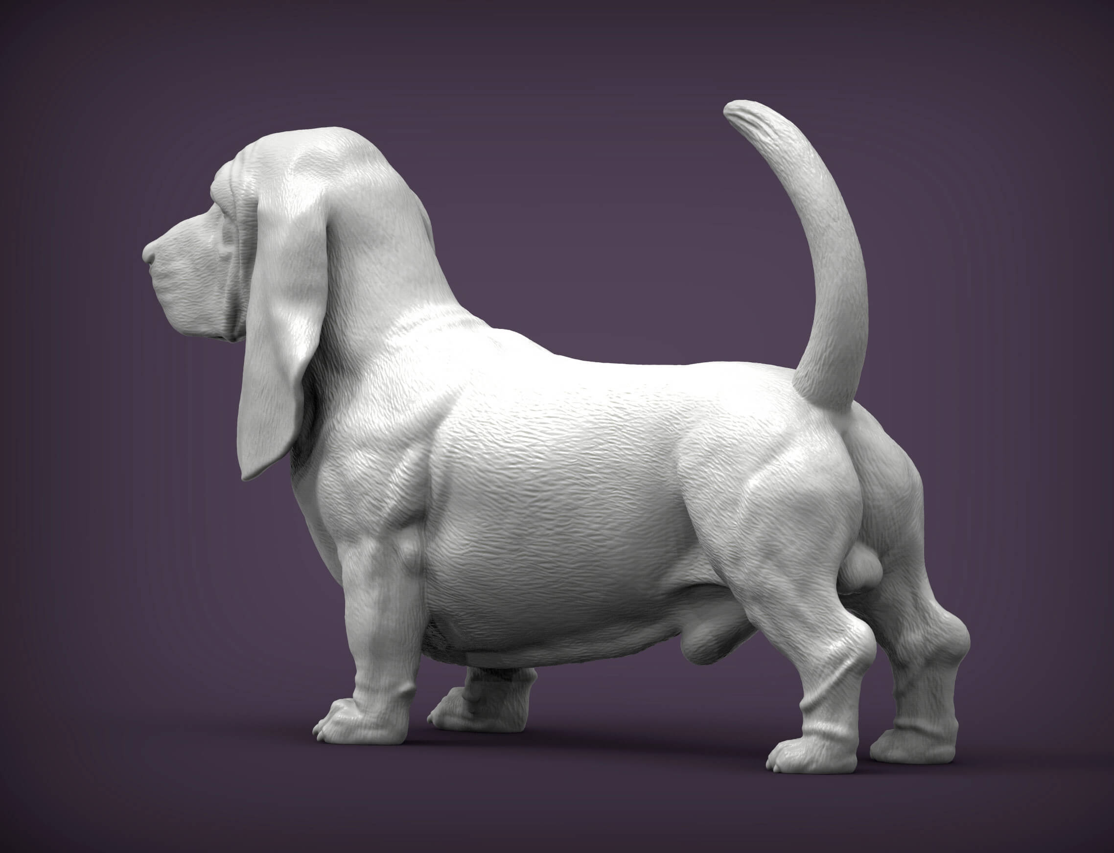 Basset Hound 3D Print Model by Alexander3dart